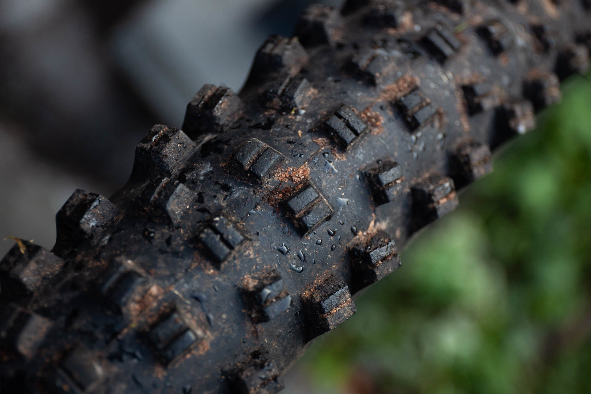 29+ Tires List, Options, and Guide - BIKEPACKING.com