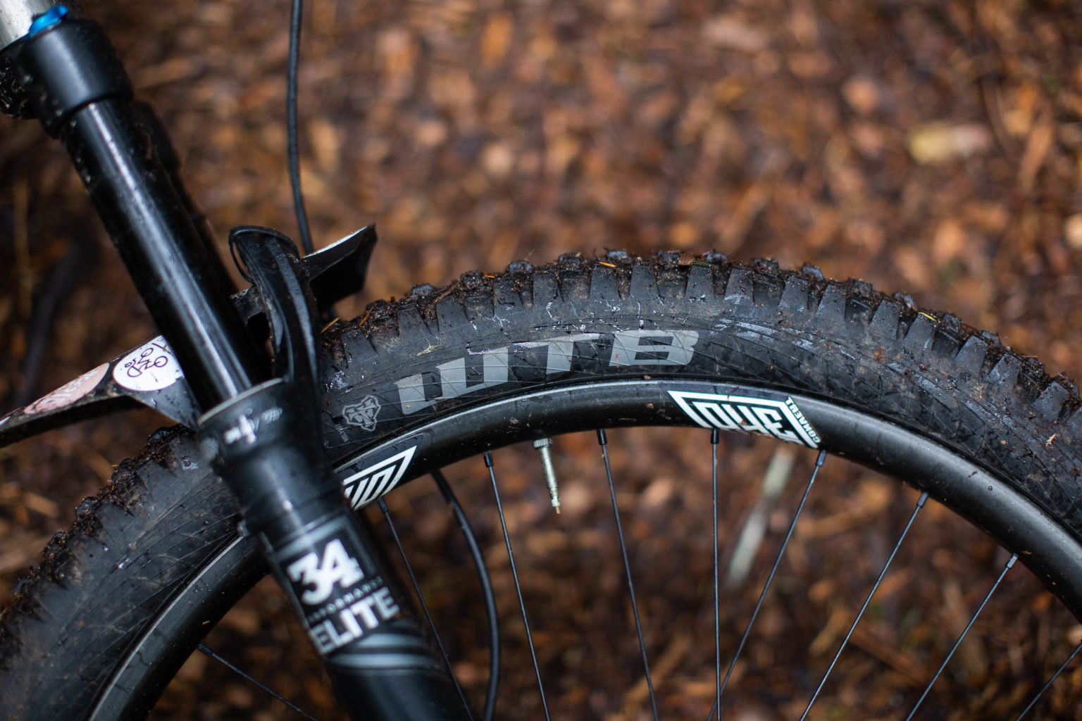 29+ Tires List, Options, and Guide - BIKEPACKING.com