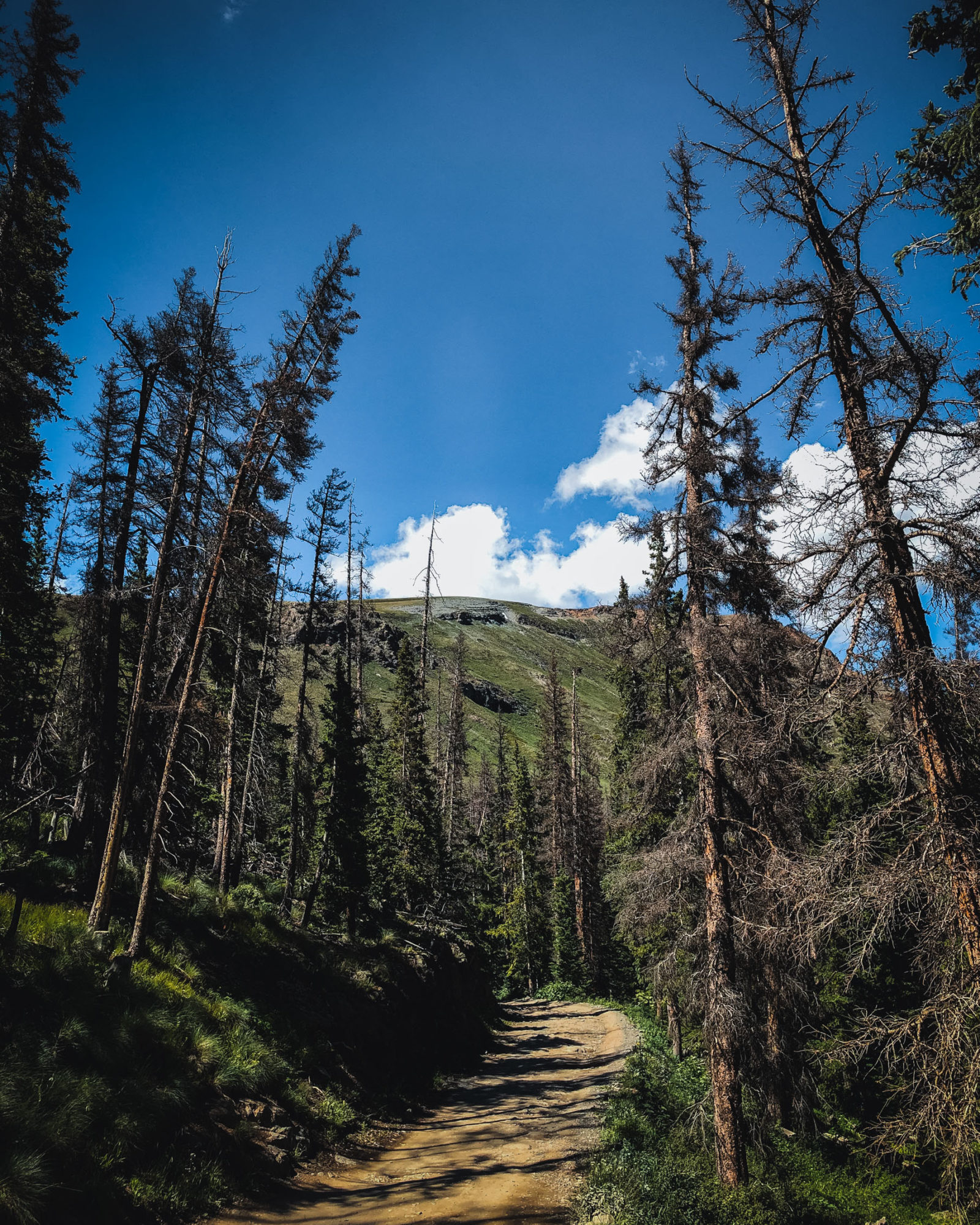 Liquid Sunshine: Fixed Gear on the Colorado Trail - BIKEPACKING.com