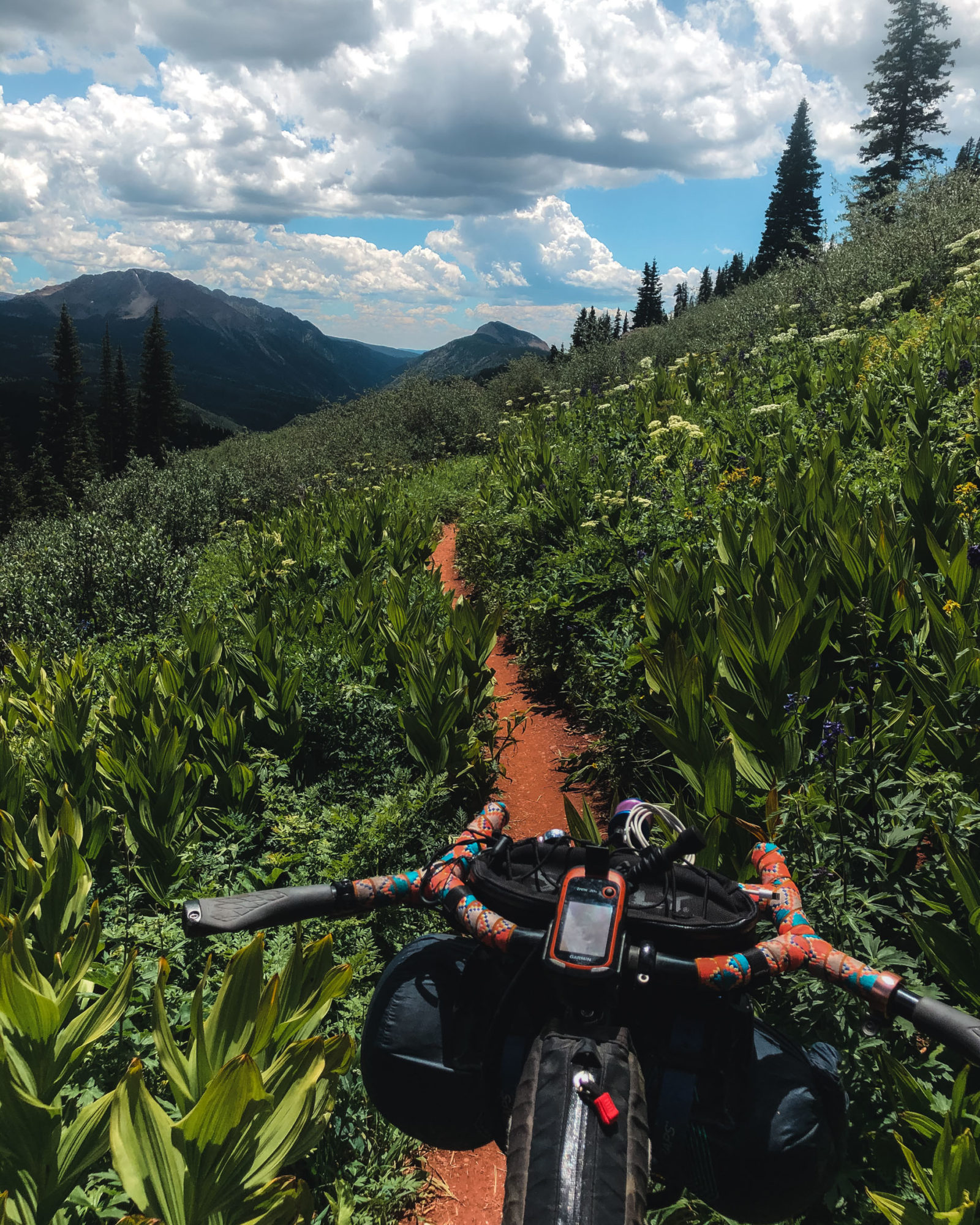 Liquid Sunshine: Fixed Gear on the Colorado Trail - BIKEPACKING.com