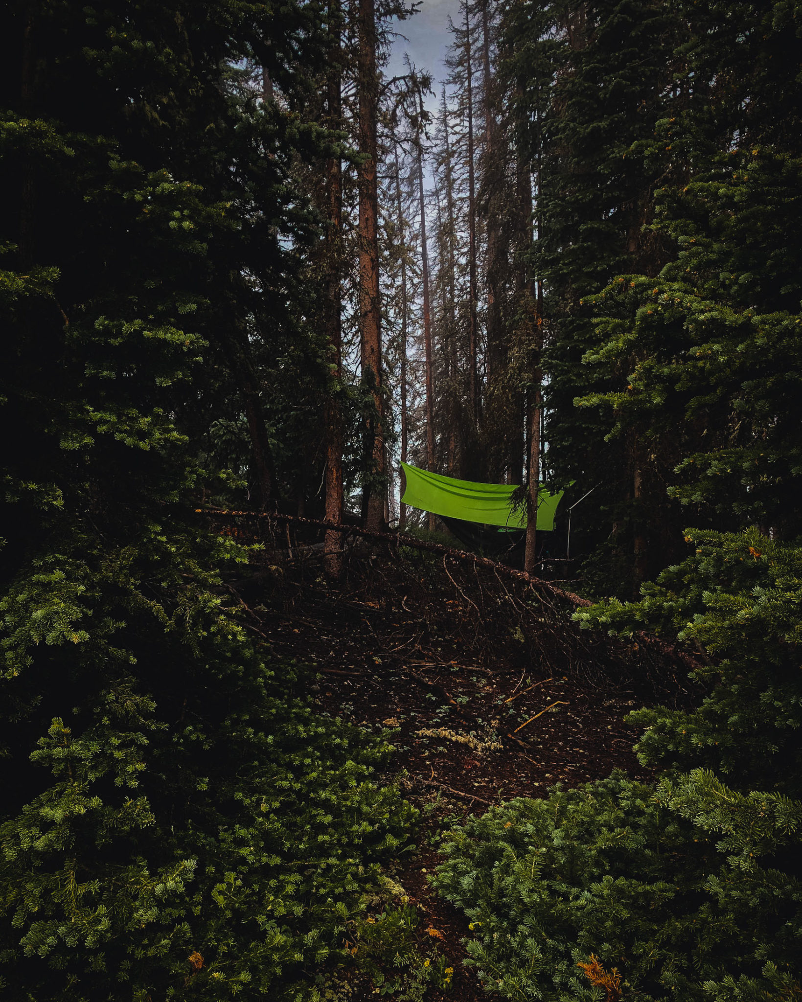 Liquid Sunshine: Fixed Gear on the Colorado Trail - BIKEPACKING.com