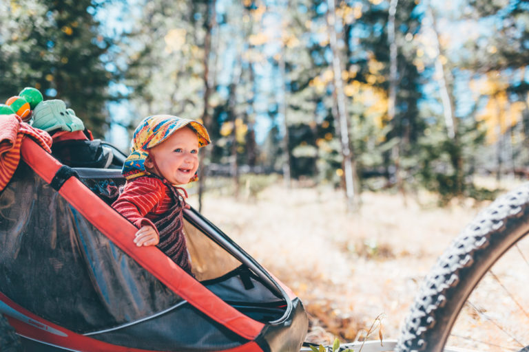 Bikepacking with a Trailer, List of Bicycle Trailers - BIKEPACKING.com