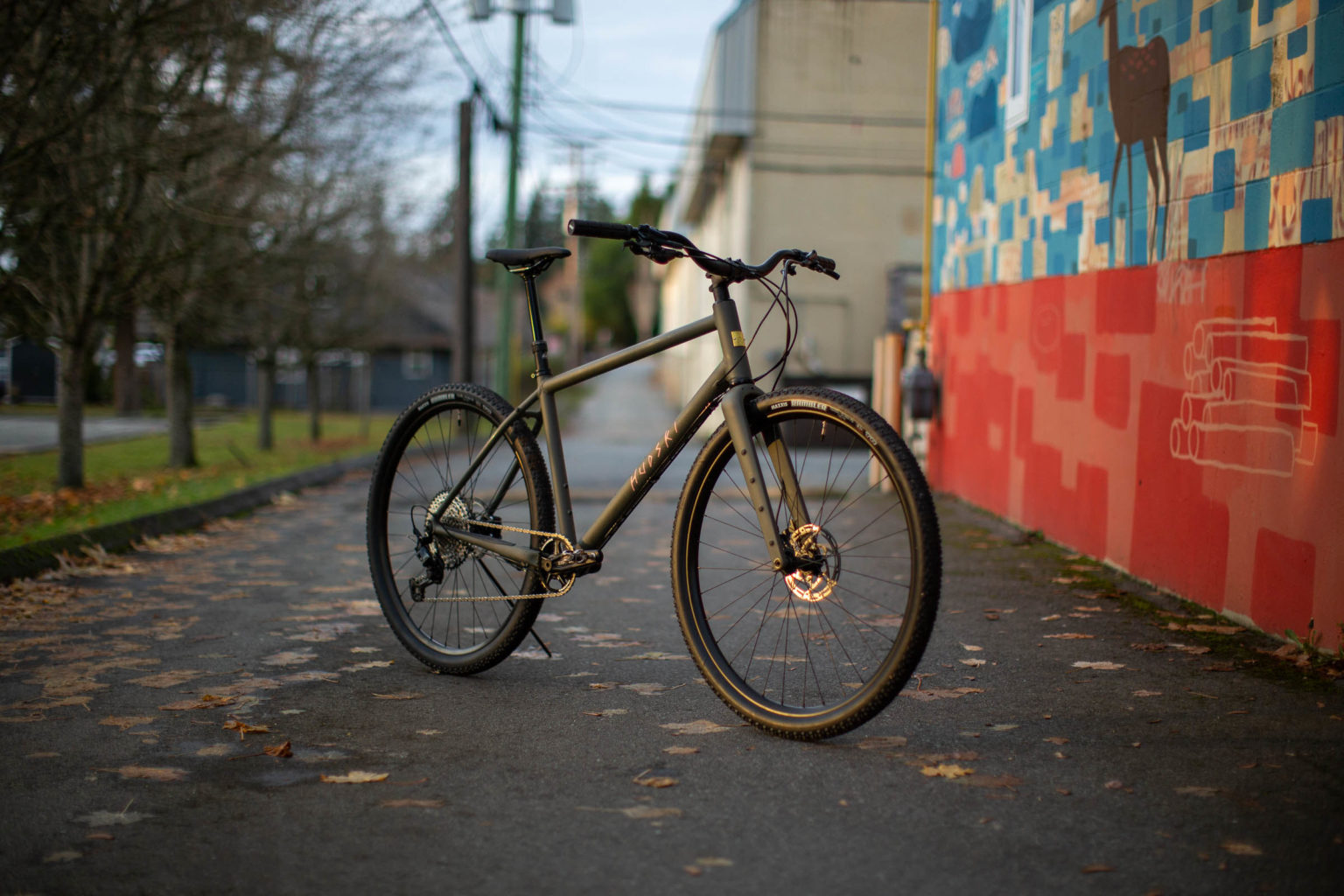 Hudski Doggler Review - BIKEPACKING.com
