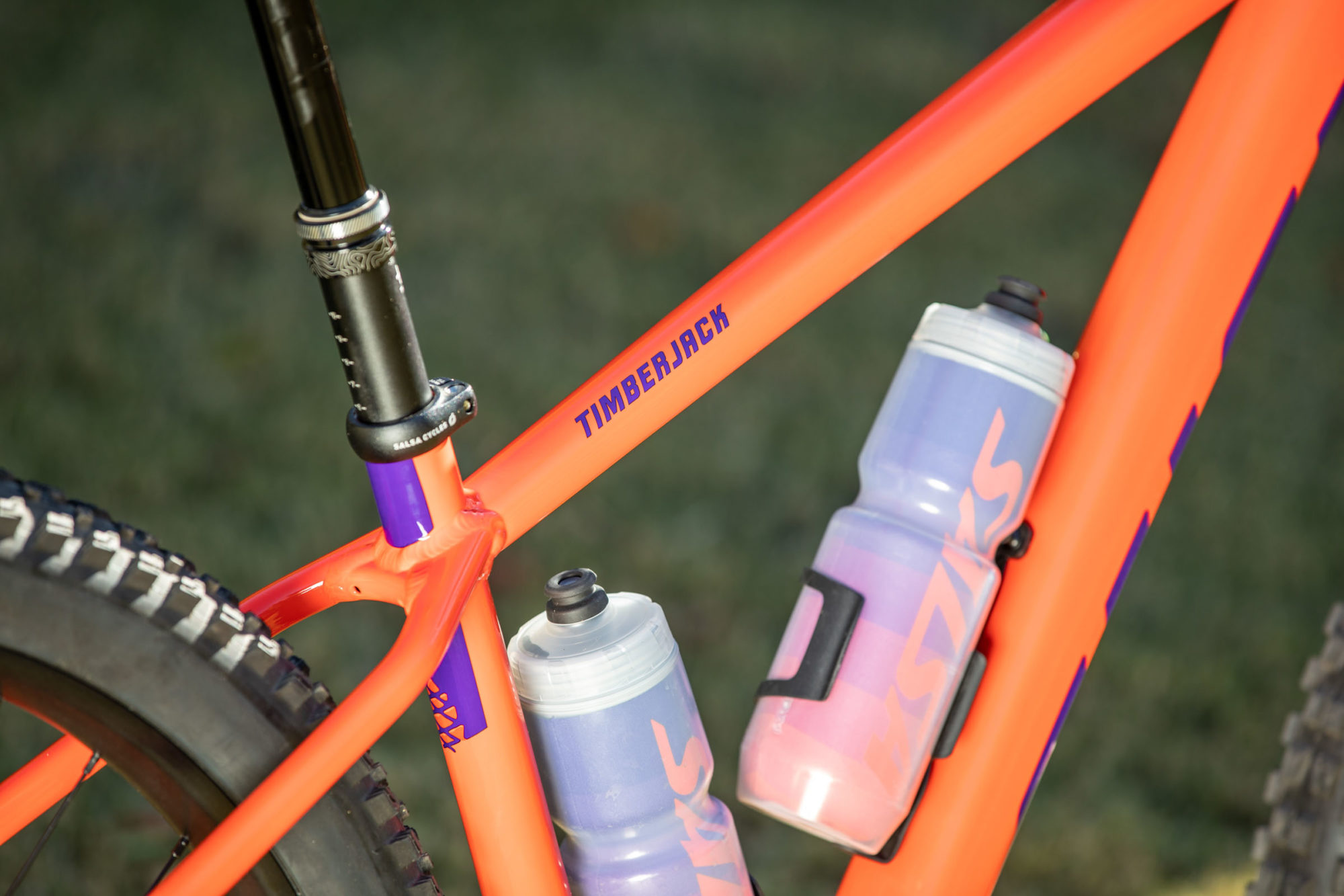 2021 Salsa Timberjack Gets New Geometry and 9 Builds - BIKEPACKING.com