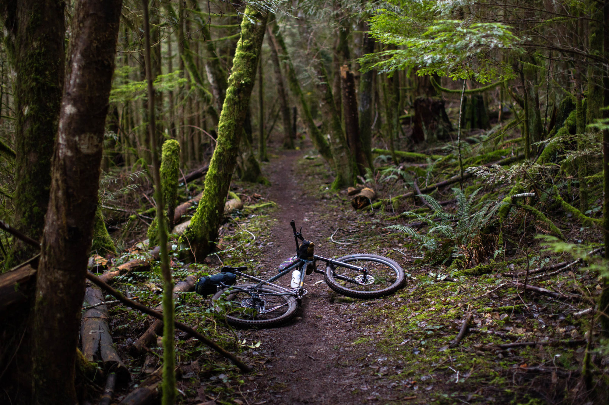 Aeroe Spider Rear Rack Review: Look Mom, No Mounts! - BIKEPACKING.com