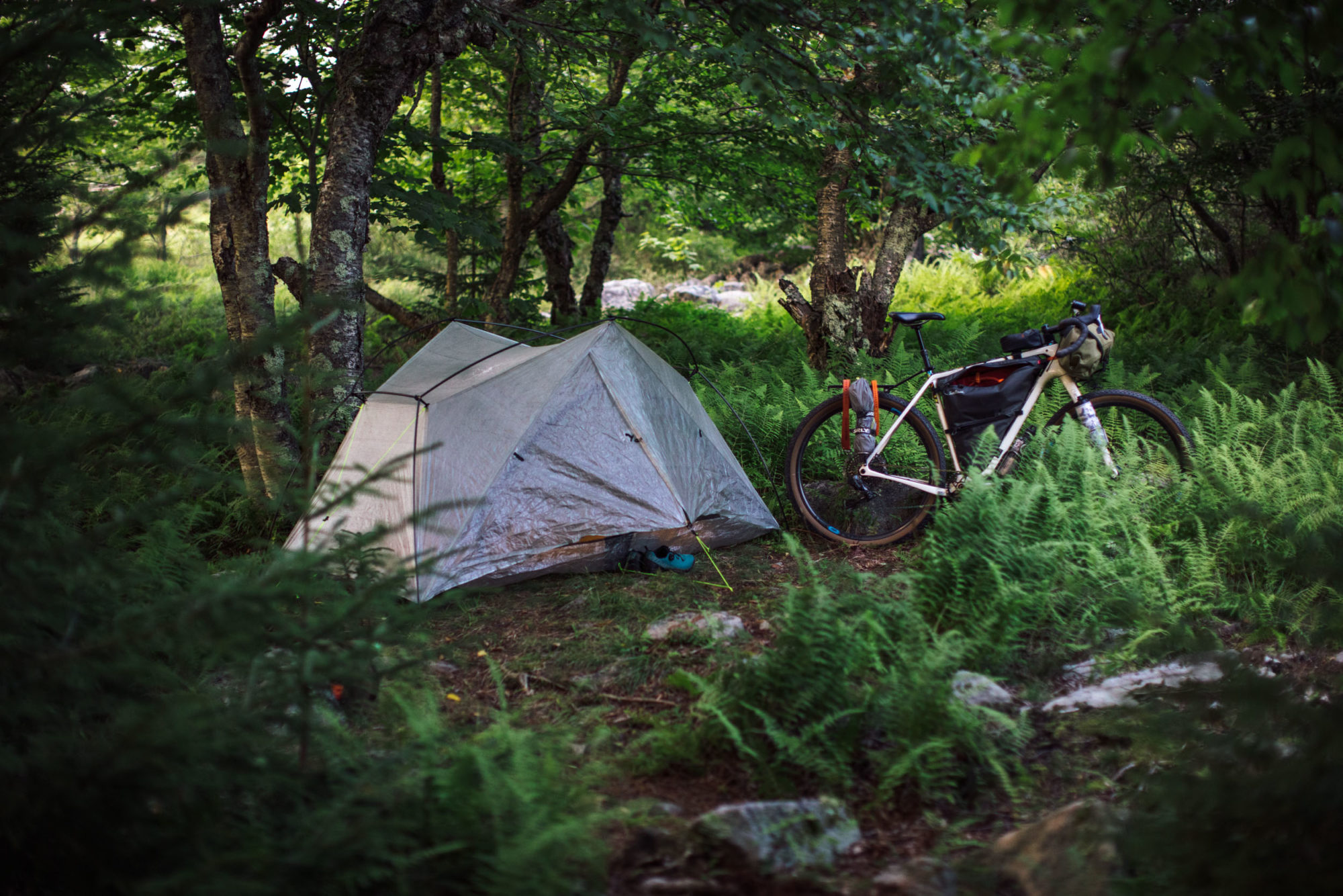 Zpacks Free Duo Tent Review - BIKEPACKING.com