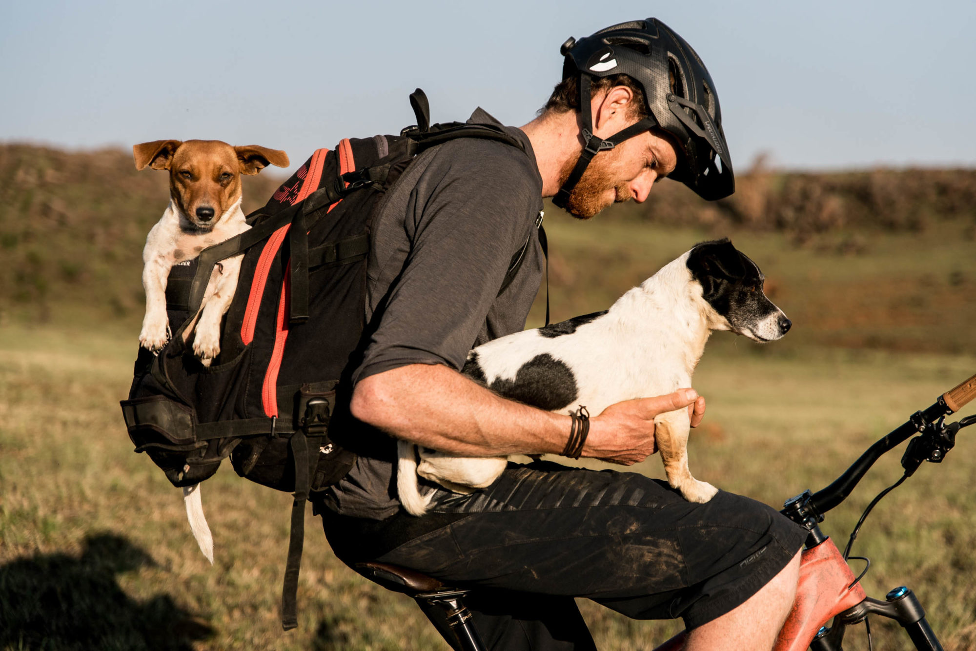 A Dog's Tale (Video) - BIKEPACKING.com