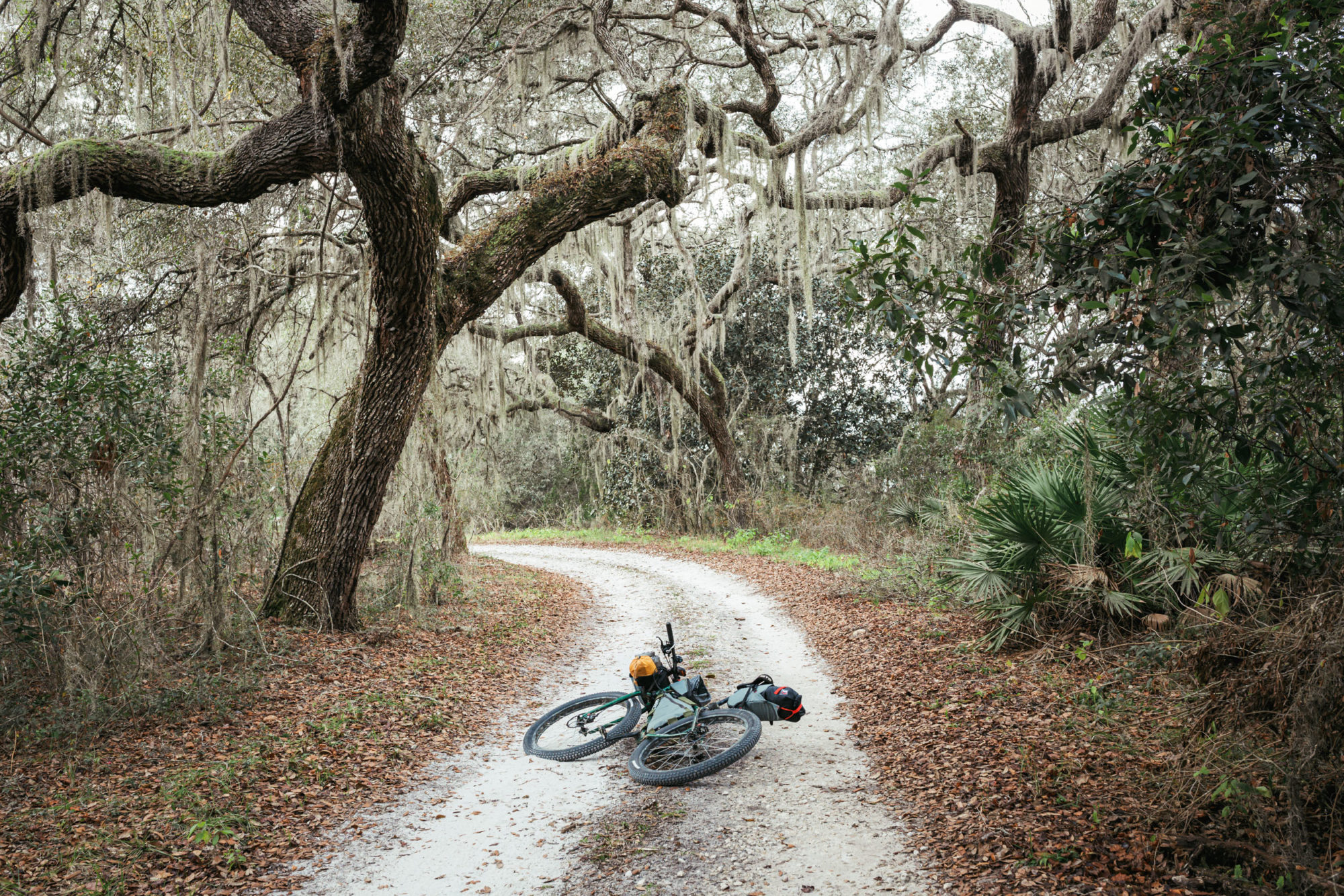 Introducing the Eastern Divide Trail - BIKEPACKING.com