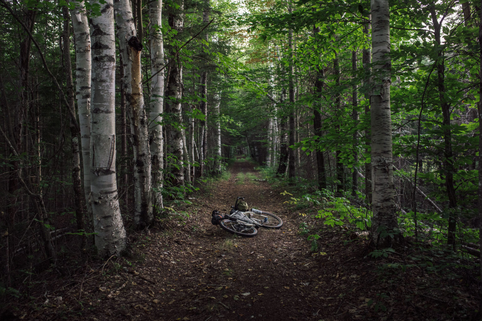 Introducing the Eastern Divide Trail - BIKEPACKING.com