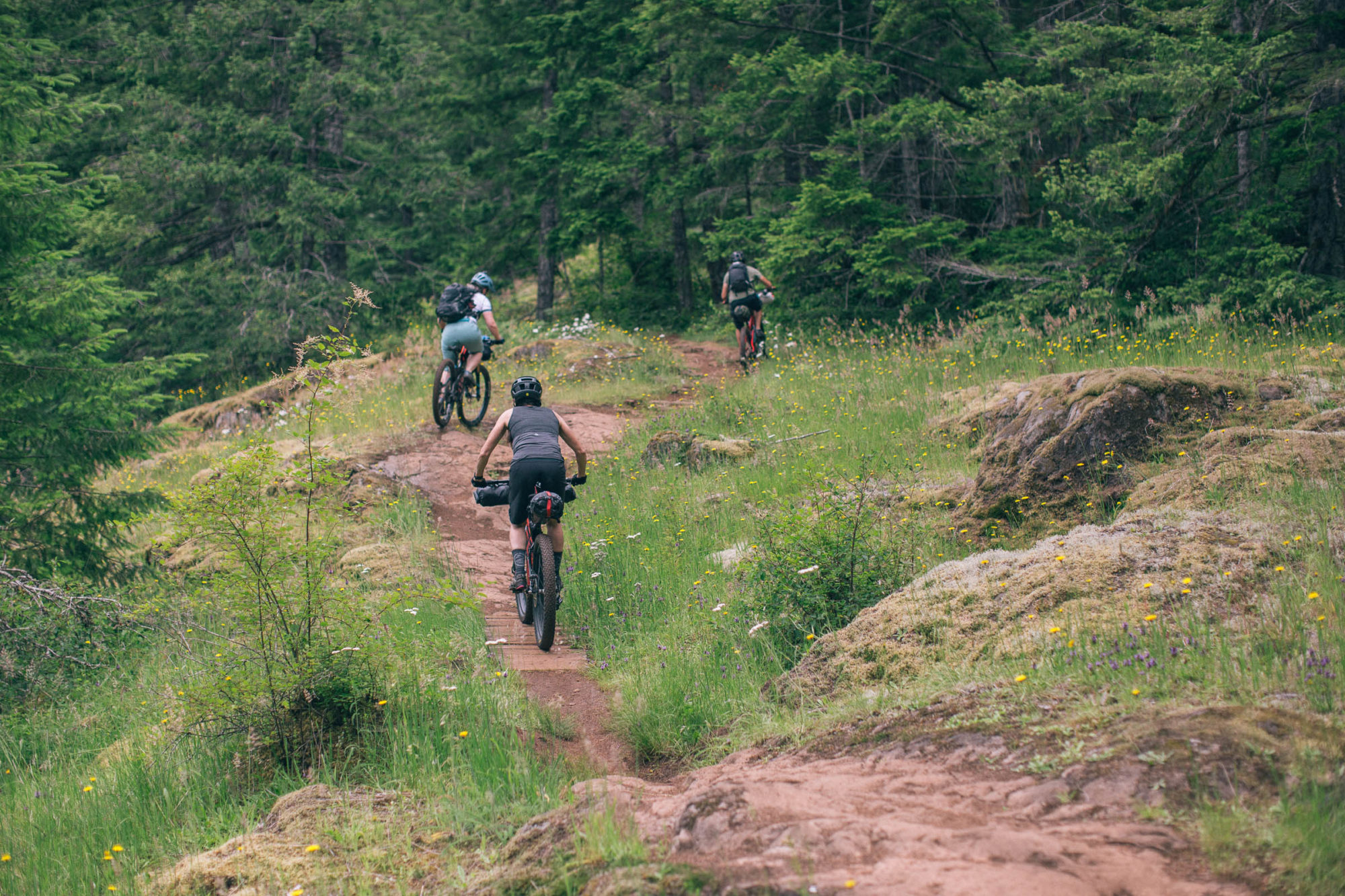 Snowden or Dust, Vancouver Island - BIKEPACKING.com