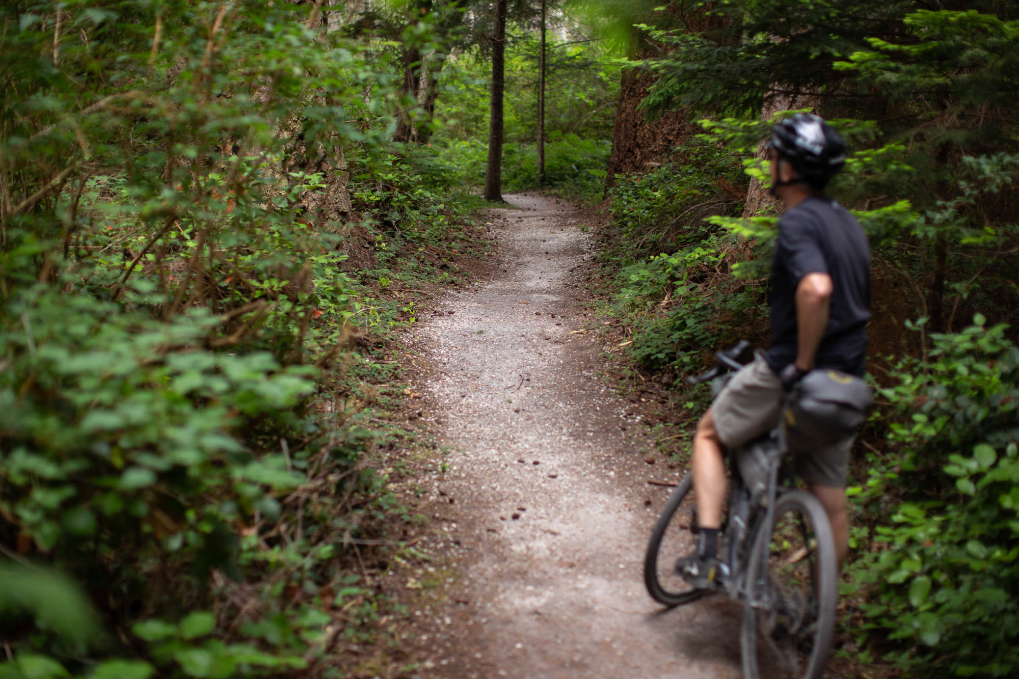 Texada Ridge Runner: Bikepacking Texada Island - BIKEPACKING.com