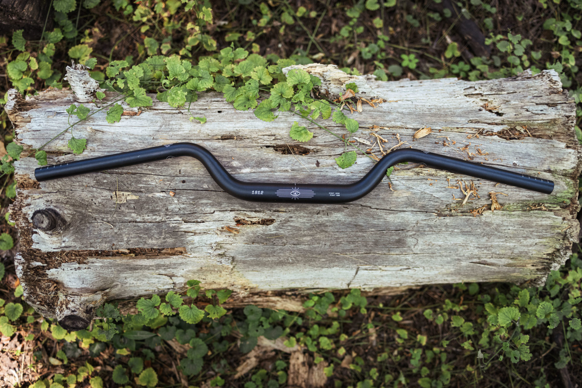 List of Comfort MTB Handlebars (Alt Bars) - BIKEPACKING.com