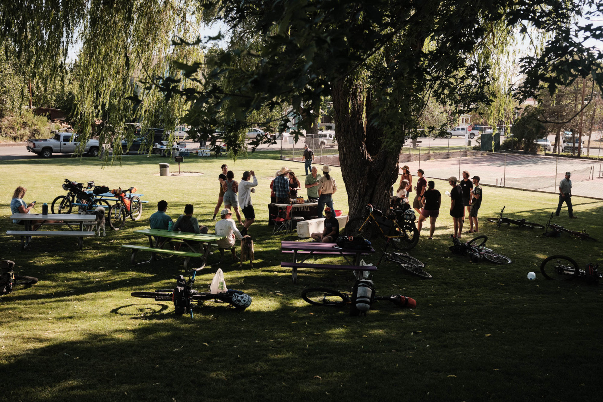 Switching Gears on the Oregon Timber Trail - BIKEPACKING.com