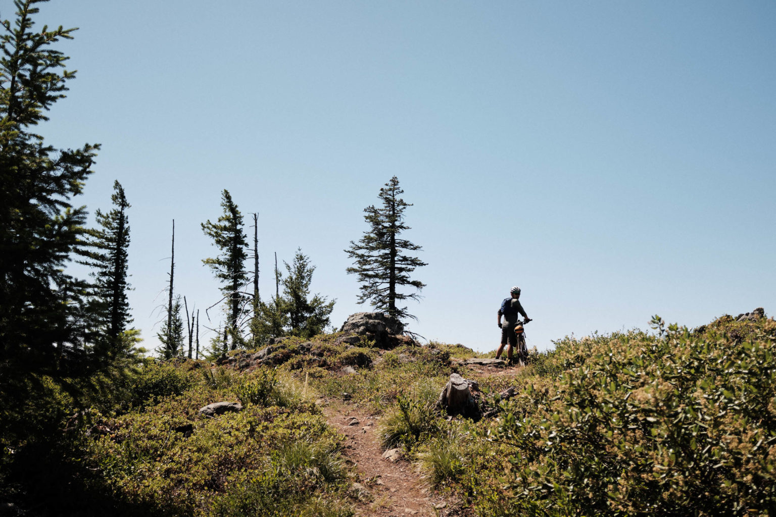 Oregon Timber Trail 2025 - BIKEPACKING.com