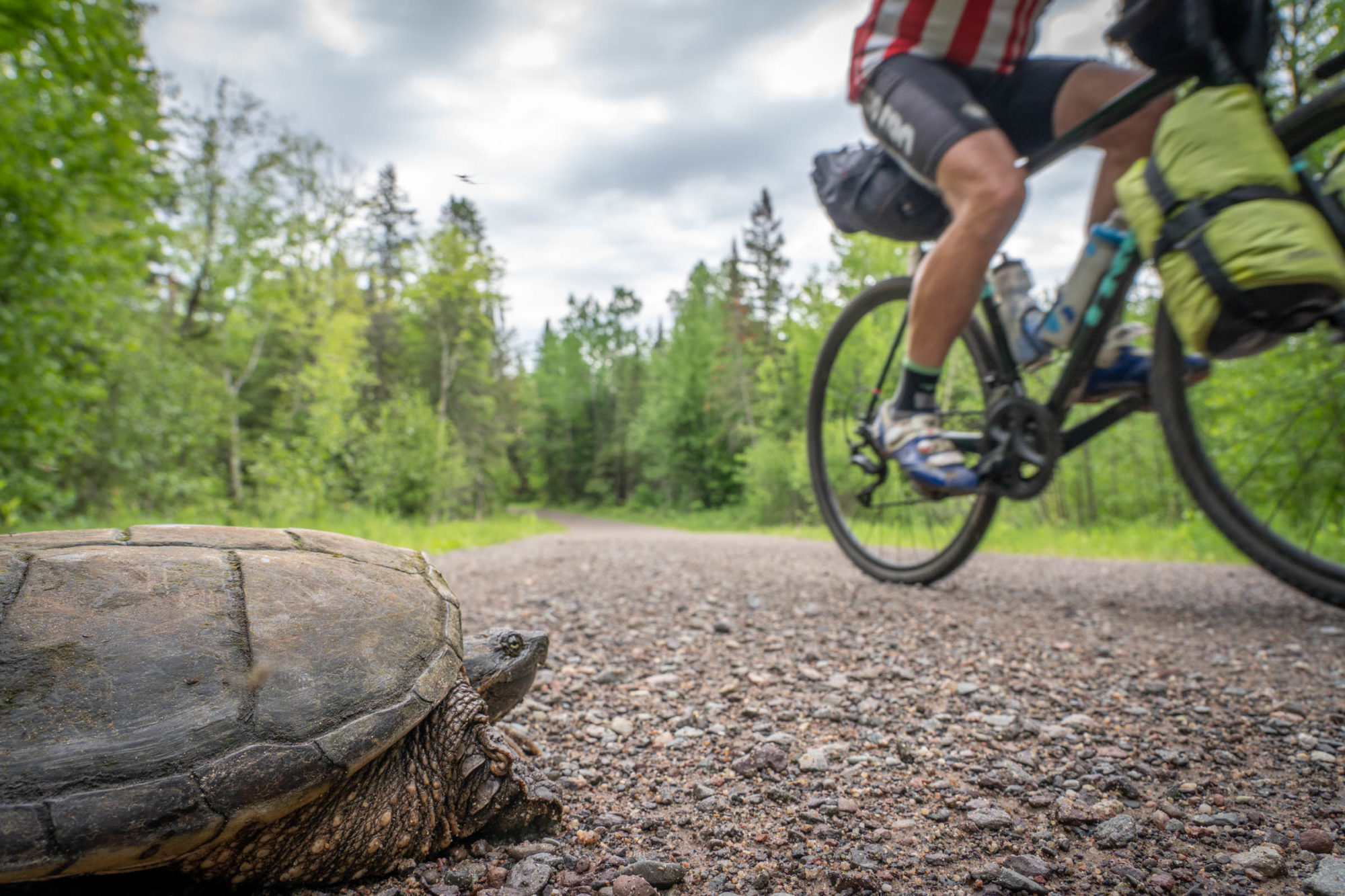 Wisconsin Waterfalls Loop - BIKEPACKING.com