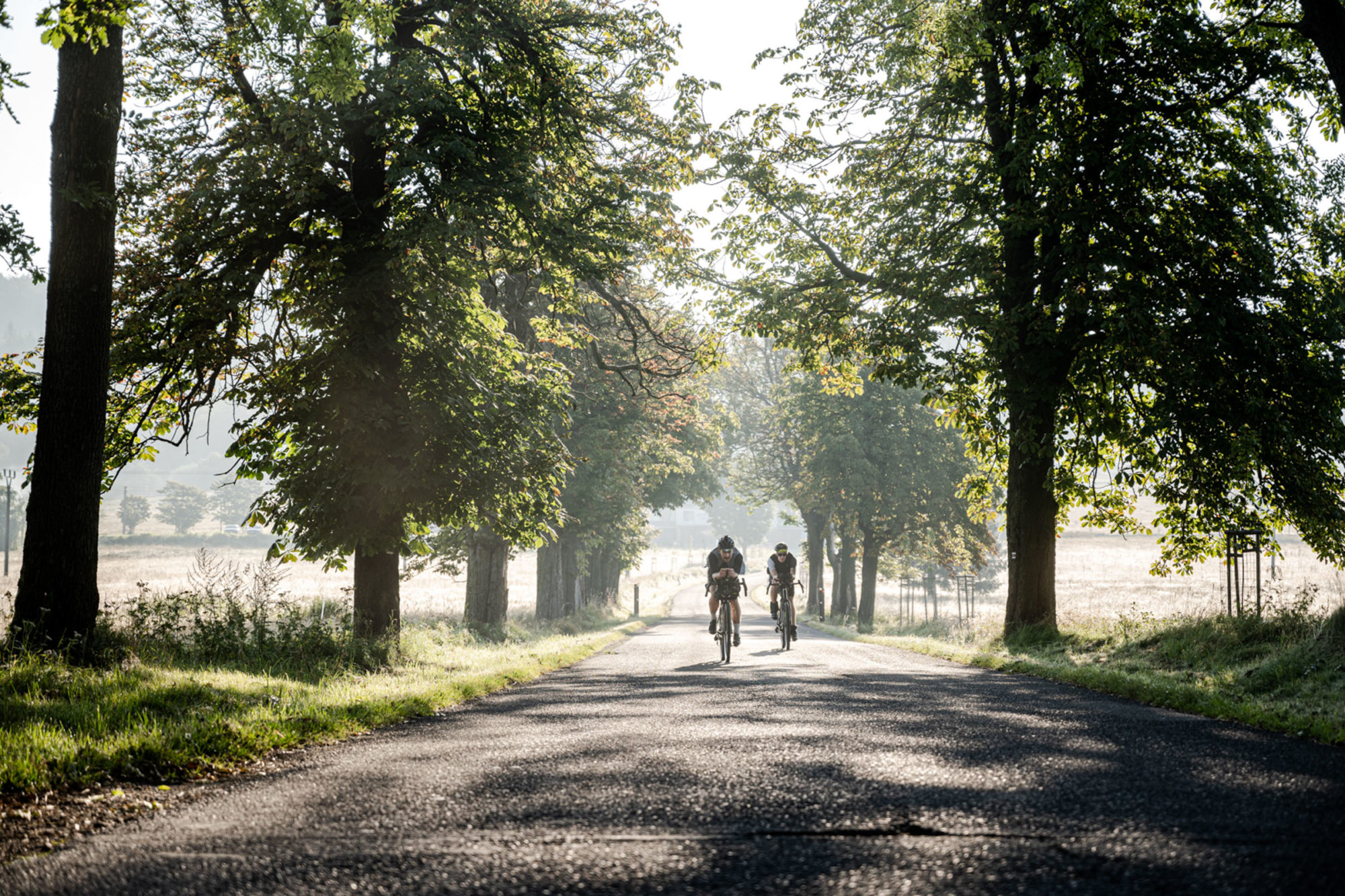 2021 Bohemian Border Bash Race Recap: Tales from Two Riders ...