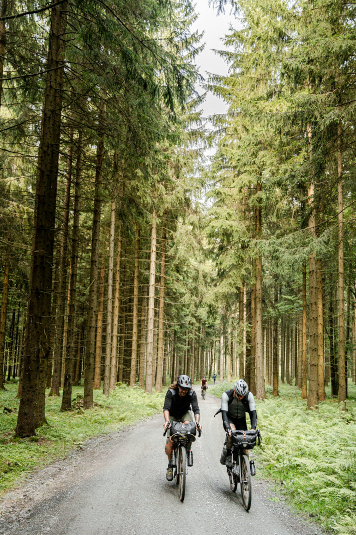 2021 Bohemian Border Bash Race Recap: Tales from Two Riders ...