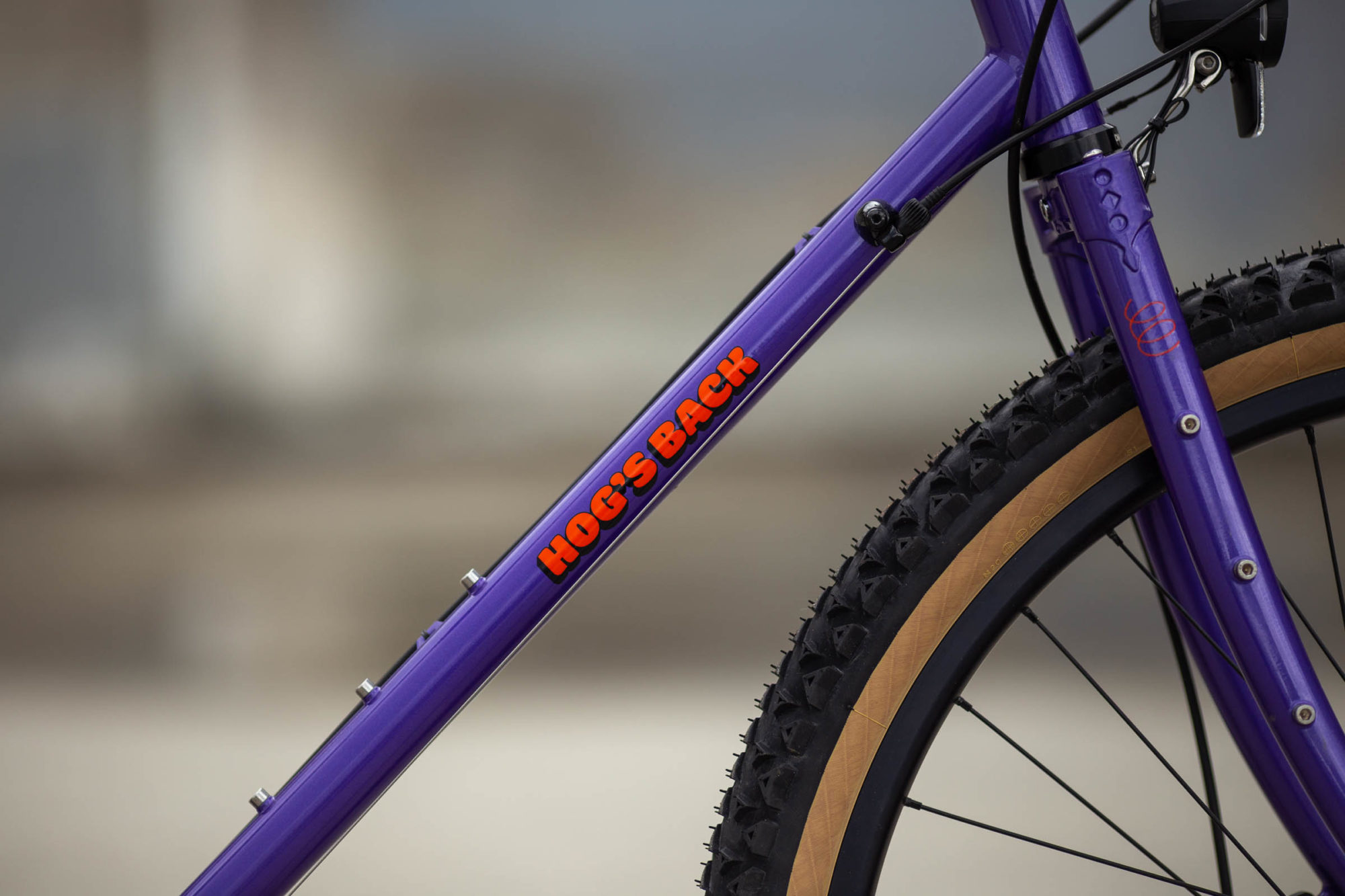 The Bassi Hog's Back we reviewed is for sale! - BIKEPACKING.com