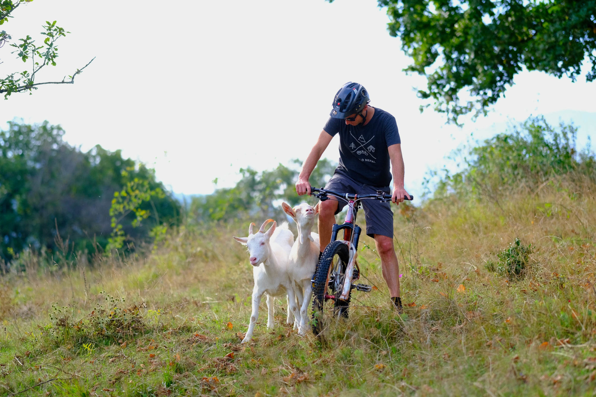 Concours de Machines 2021: Jolie Rouge - BIKEPACKING.com