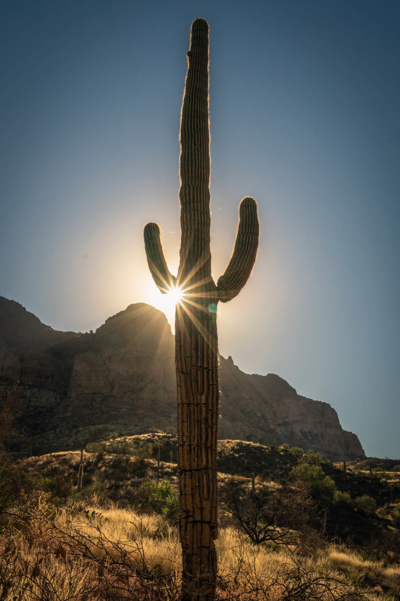 2024 Arizona Trail Race Preview - BIKEPACKING.com