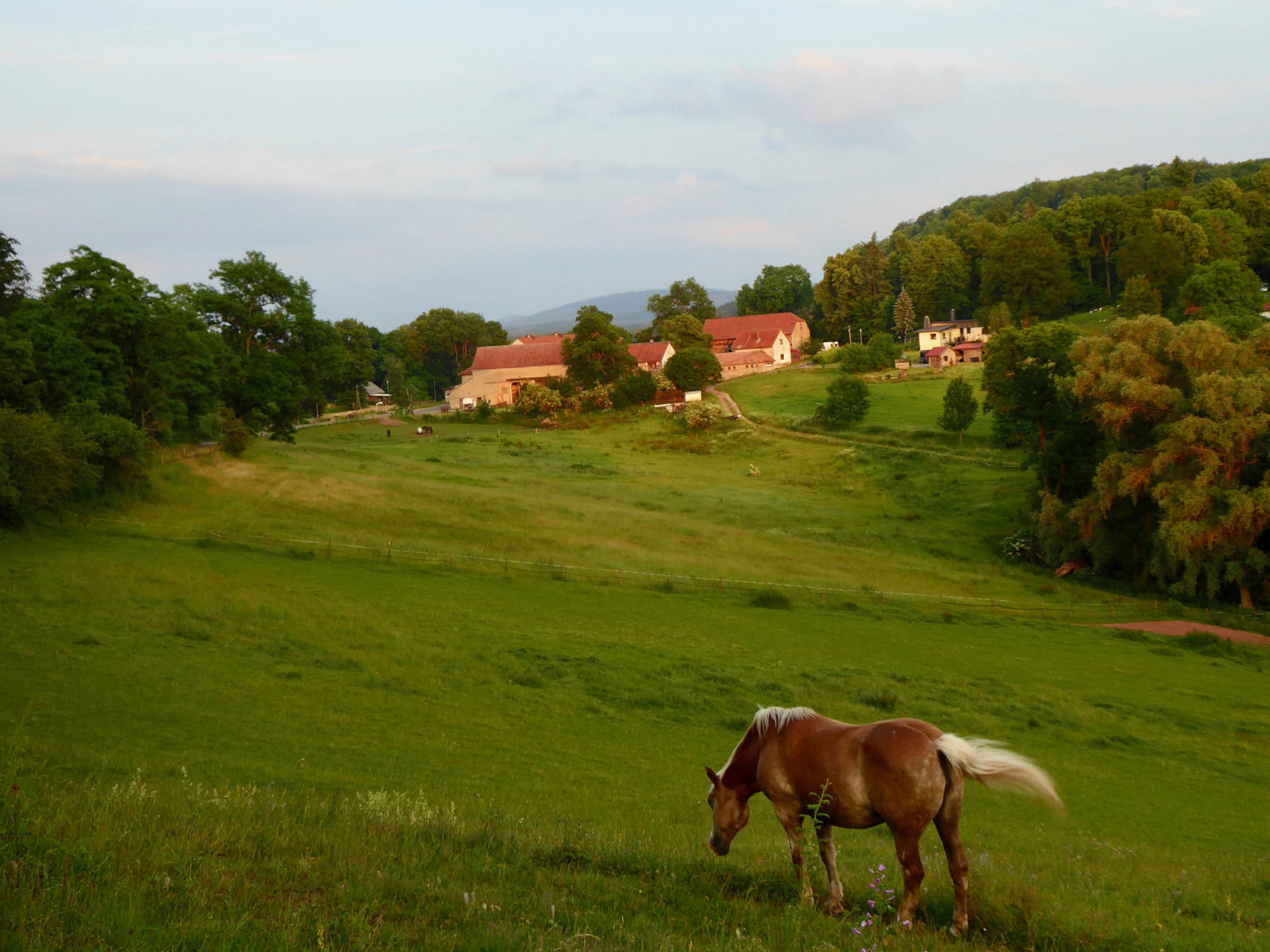 Rennsteig Express - BIKEPACKING.com