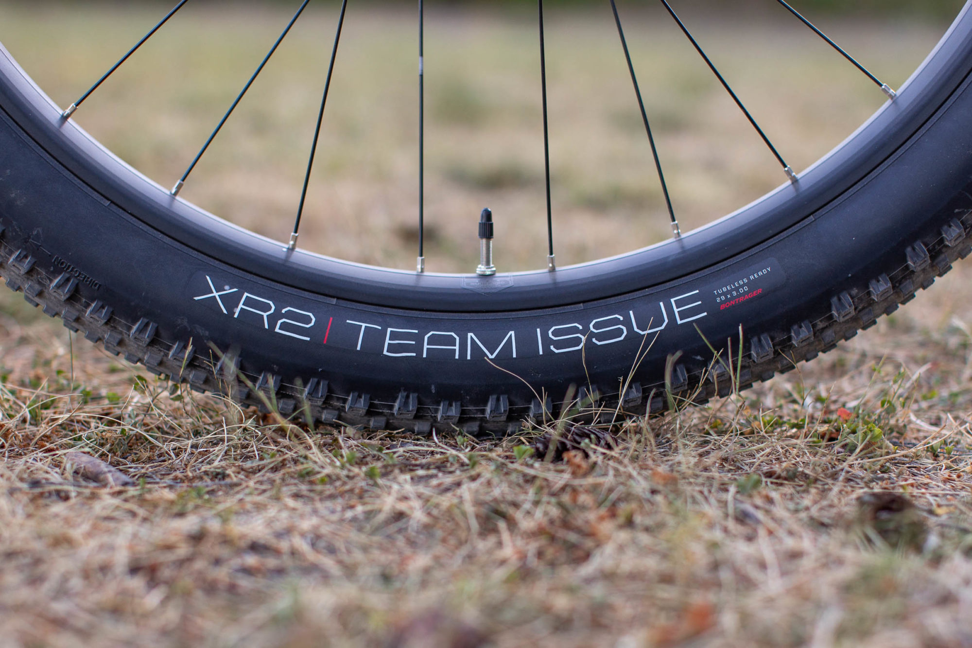 29+ Tires List, Options, and Guide - BIKEPACKING.com
