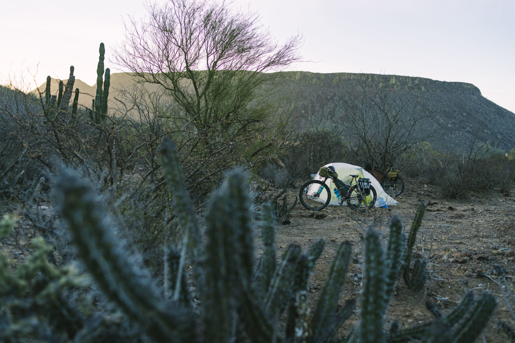 Other People’s Lines + Our Baja Divide Rigs - BIKEPACKING.com