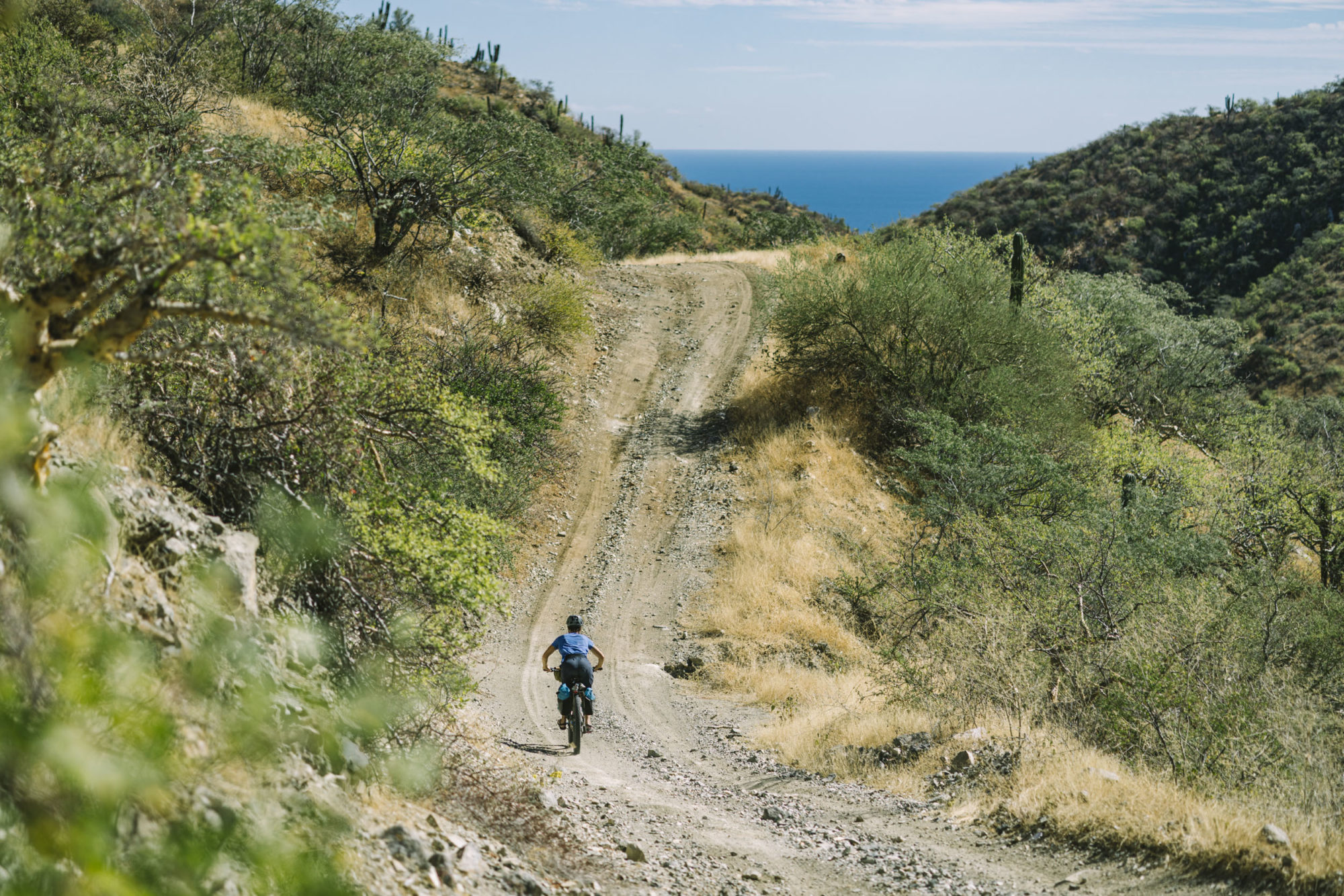 Other People’s Lines + Our Baja Divide Rigs - BIKEPACKING.com