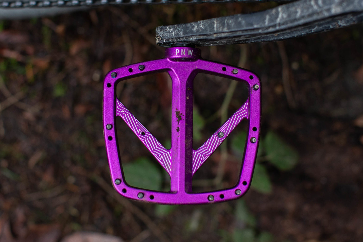Collective Reward #113: PNW Loam Pedals - BIKEPACKING.com