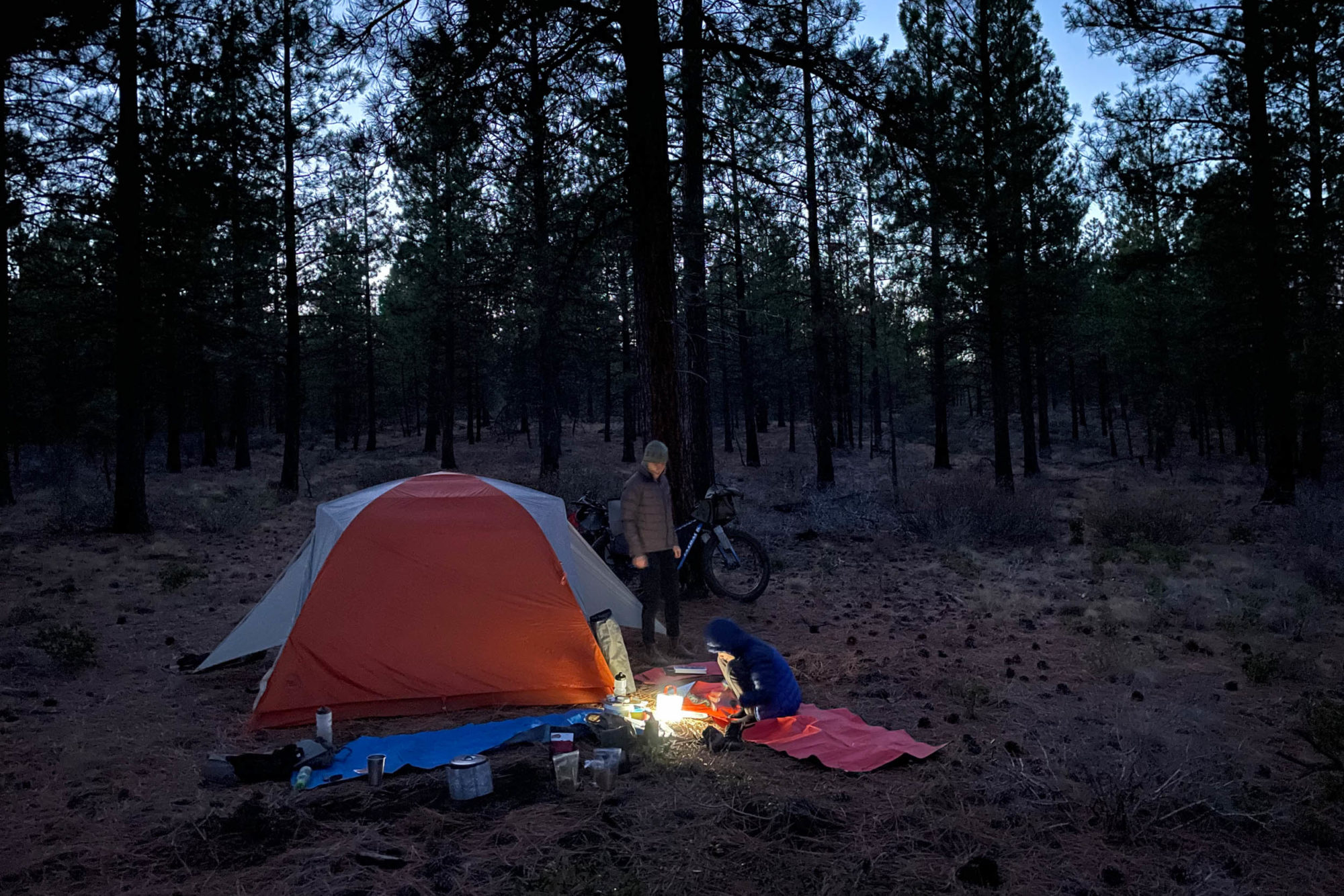A Year of Family Overnighters - BIKEPACKING.com