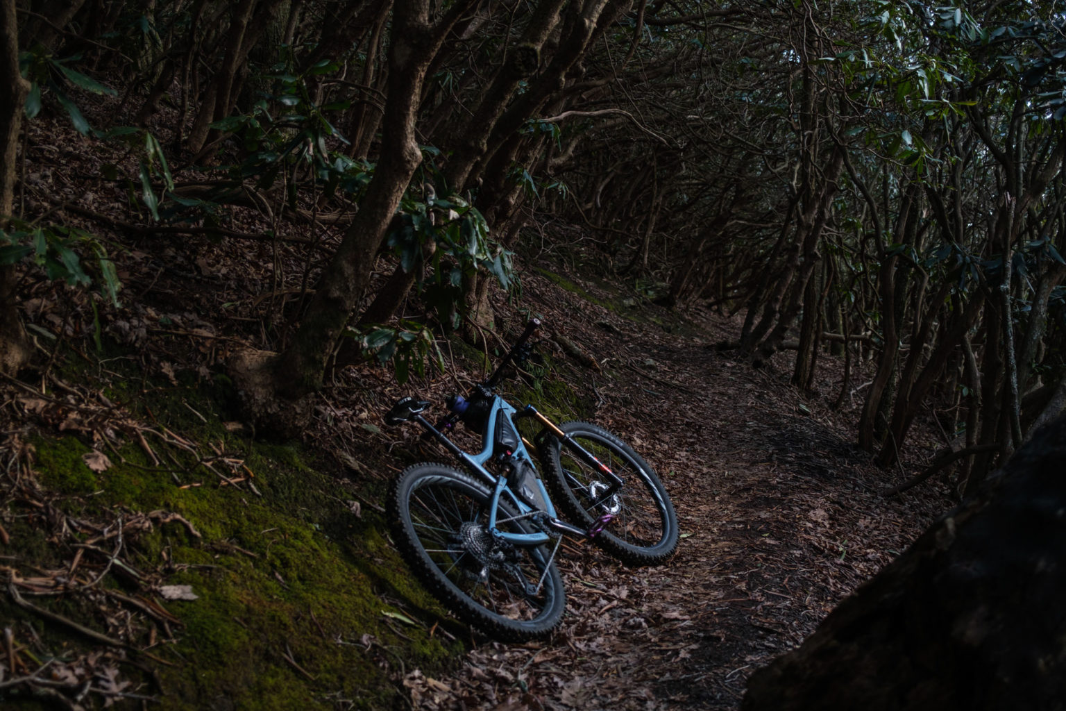 12-Speed Shimano XT Review: Lessons After 2,500 Miles - BIKEPACKING.com