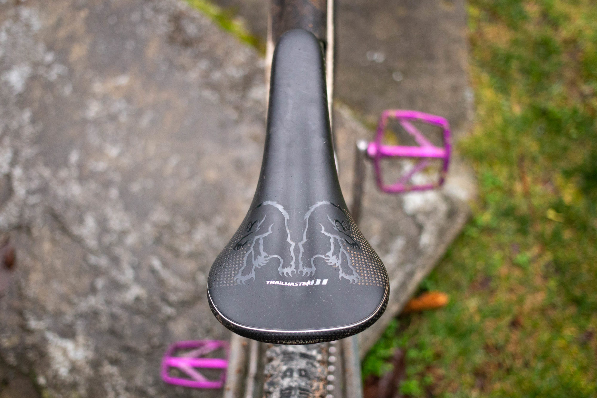 The Best Saddles for Bikepacking and Touring - BIKEPACKING.com