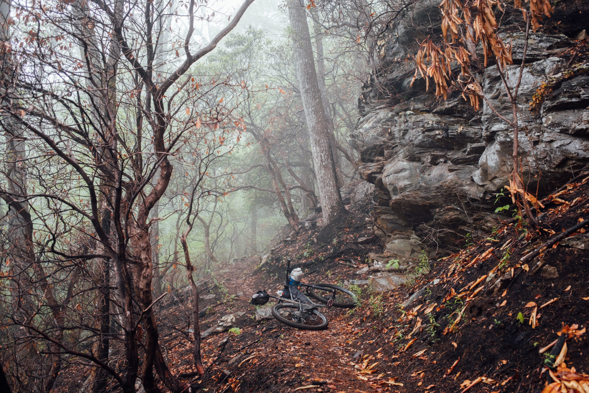 2022 Rocky Mountain Element Review - BIKEPACKING.com