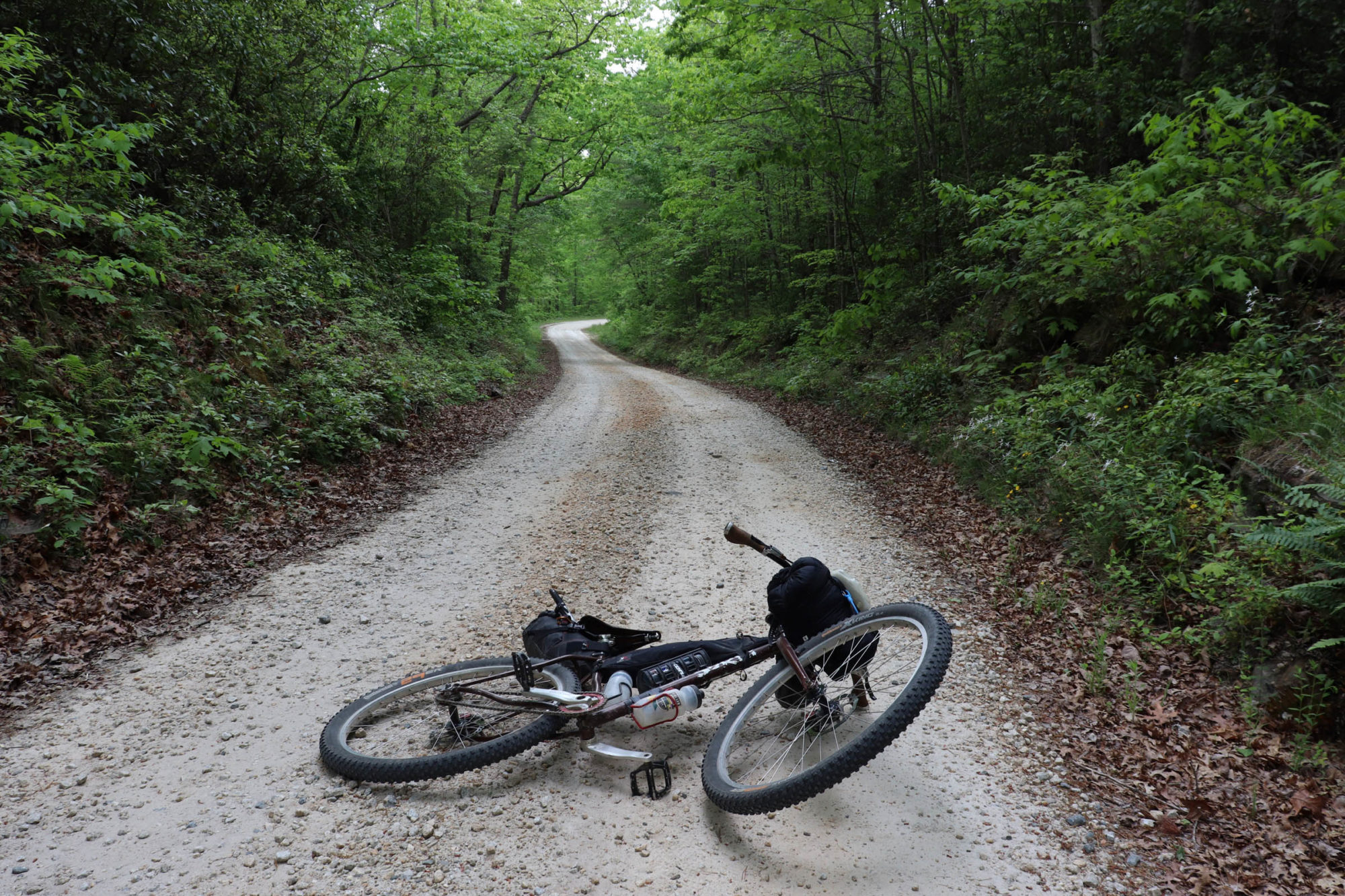 Chauga River Ramble - BIKEPACKING.com