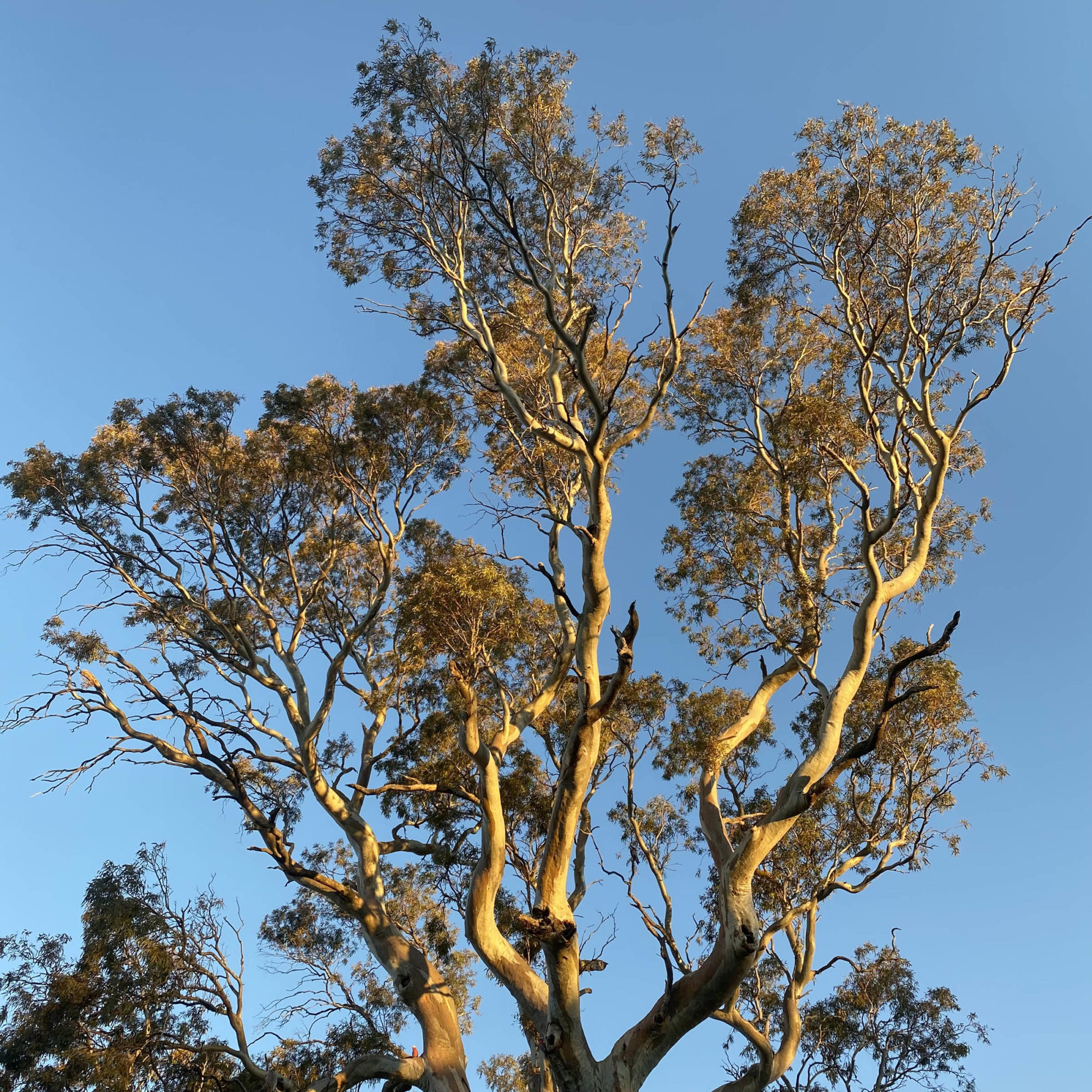 The Morgan Loop - BIKEPACKING.com