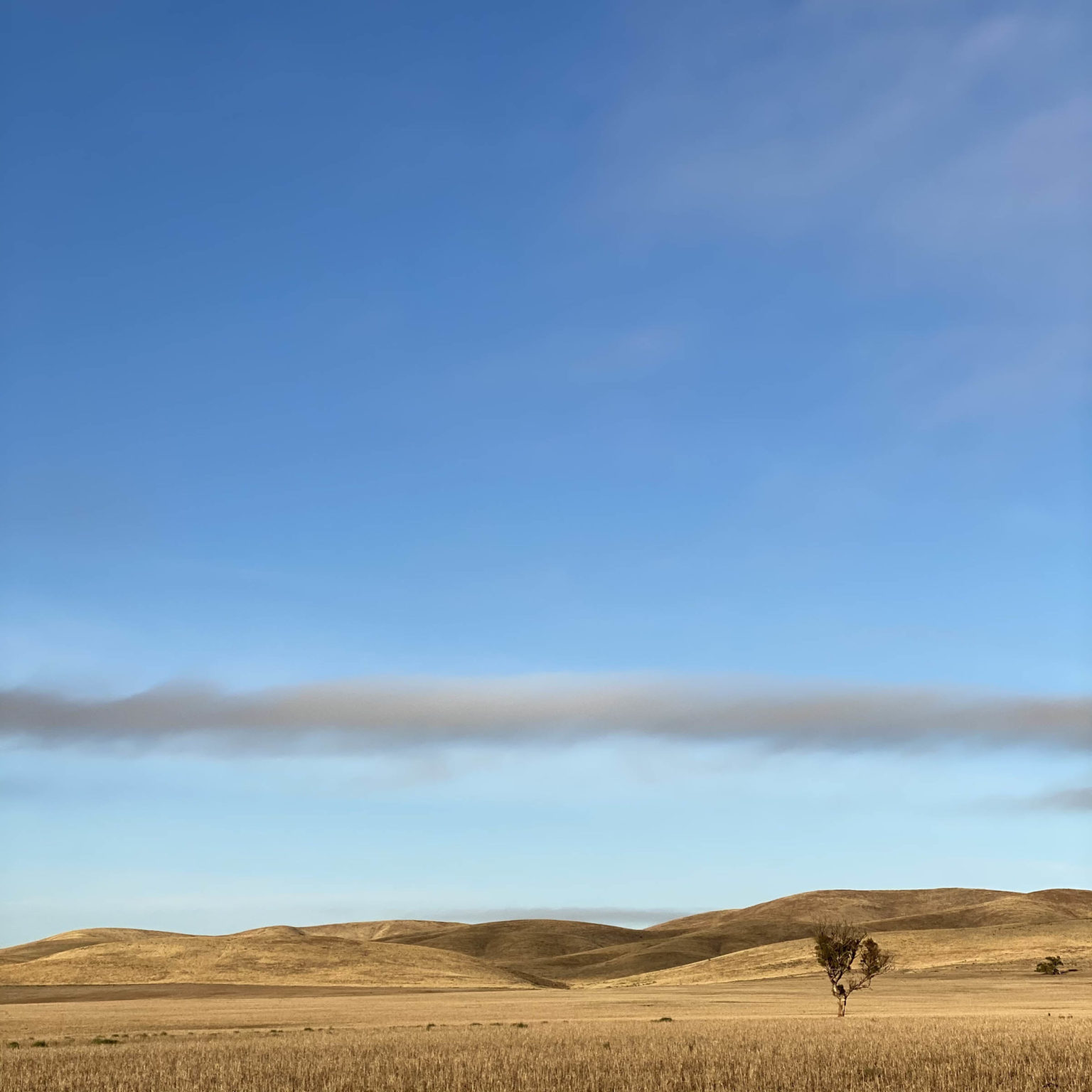 The Morgan Loop - BIKEPACKING.com