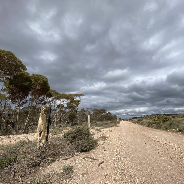 The Morgan Loop - BIKEPACKING.com
