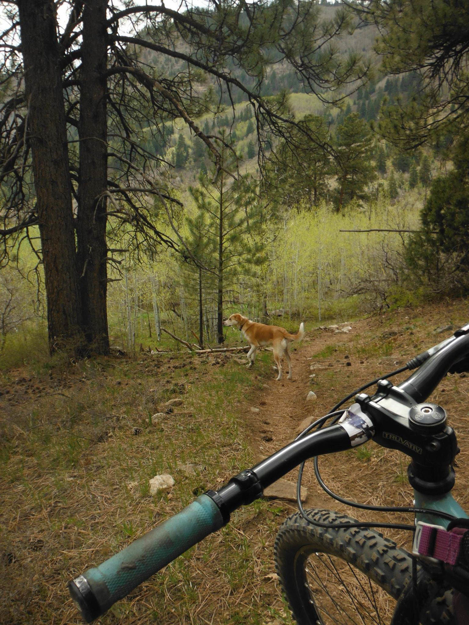 Reader's Rig: Skye's Jamis Dragon One - BIKEPACKING.com