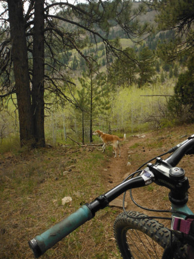 Reader's Rig: Skye's Jamis Dragon One - BIKEPACKING.com