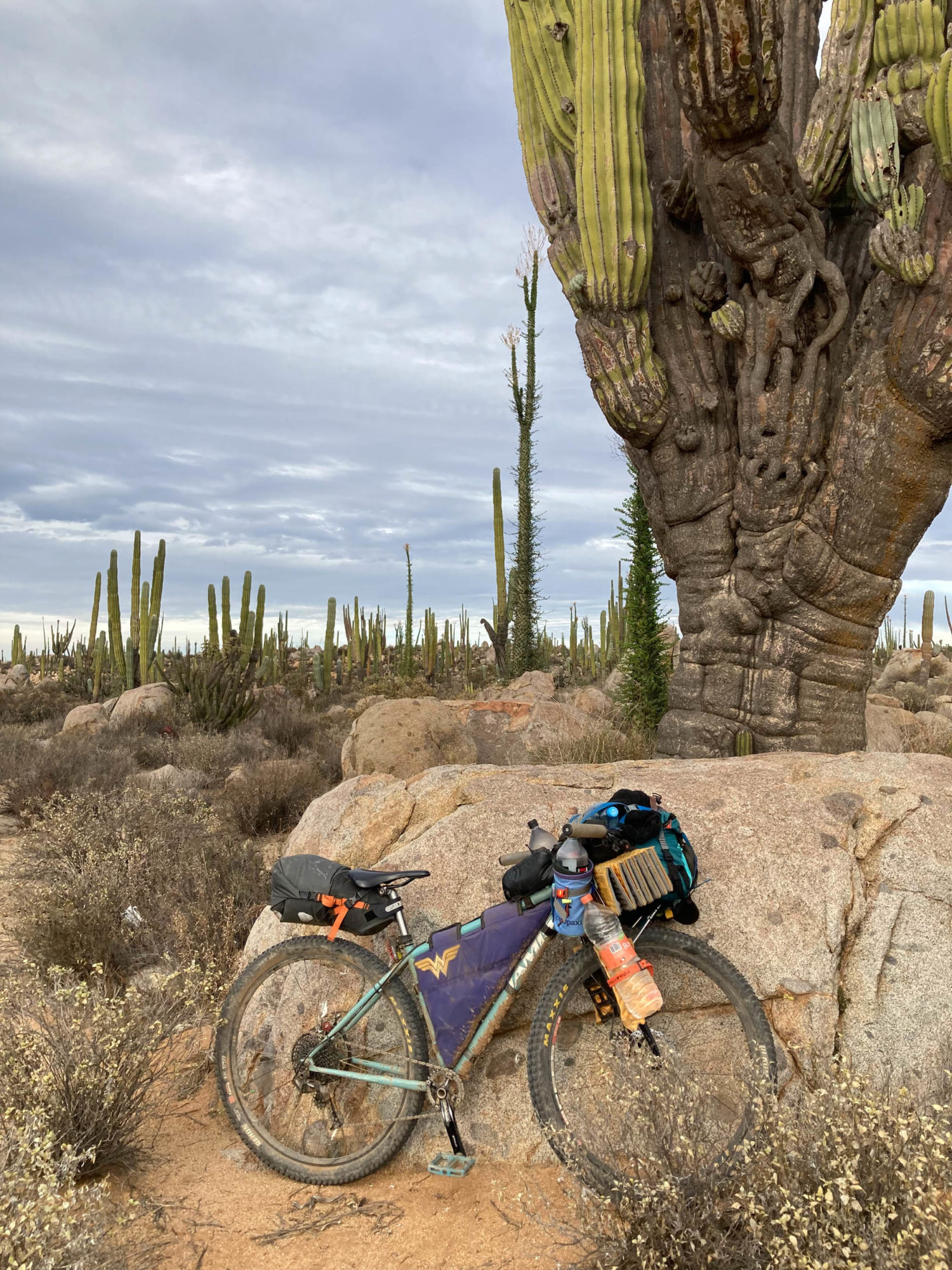 Reader's Rig: Skye's Jamis Dragon One - BIKEPACKING.com