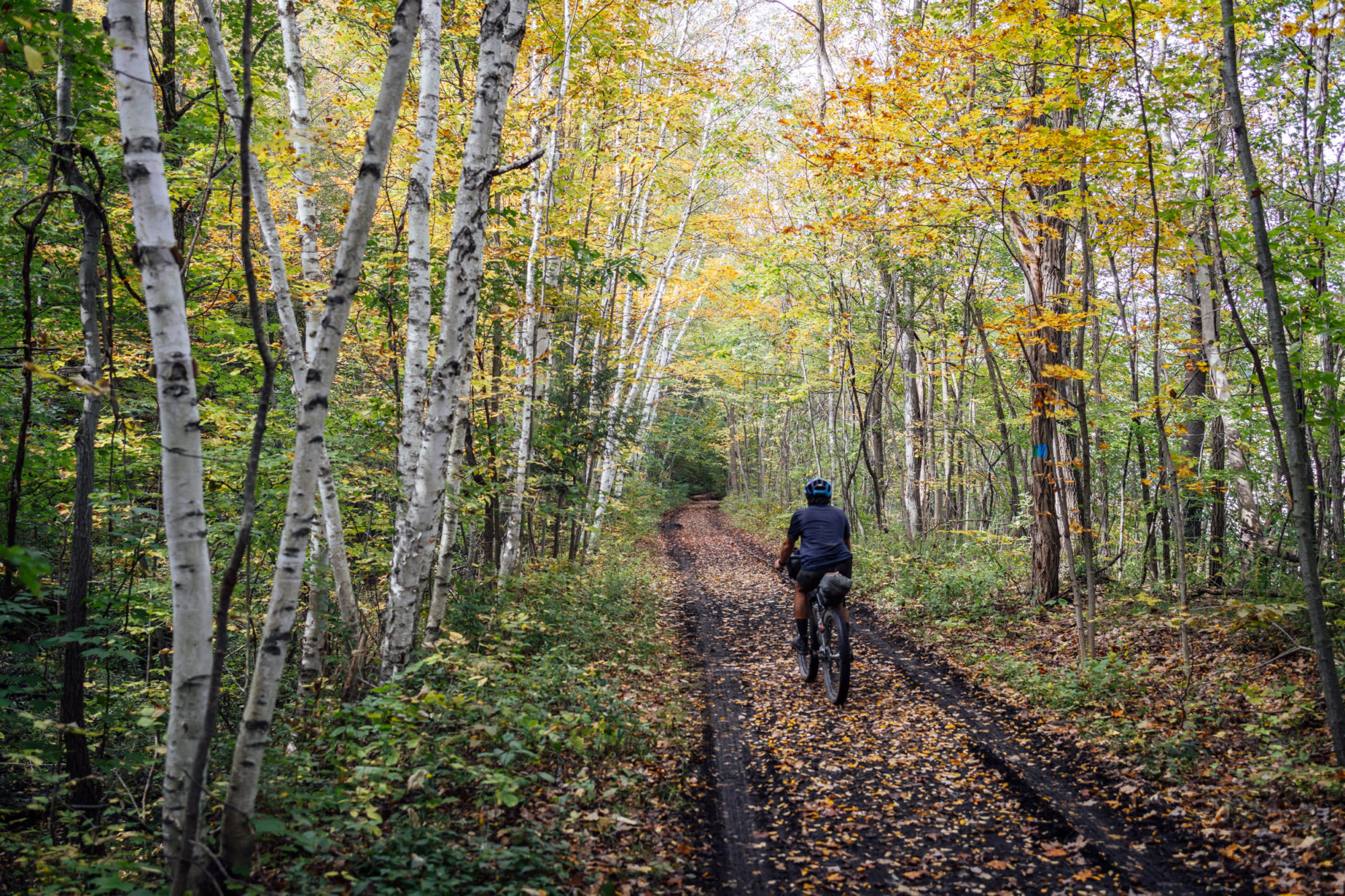 Logan Kasper's Eastern Divide Trail Record and Rig - BIKEPACKING.com