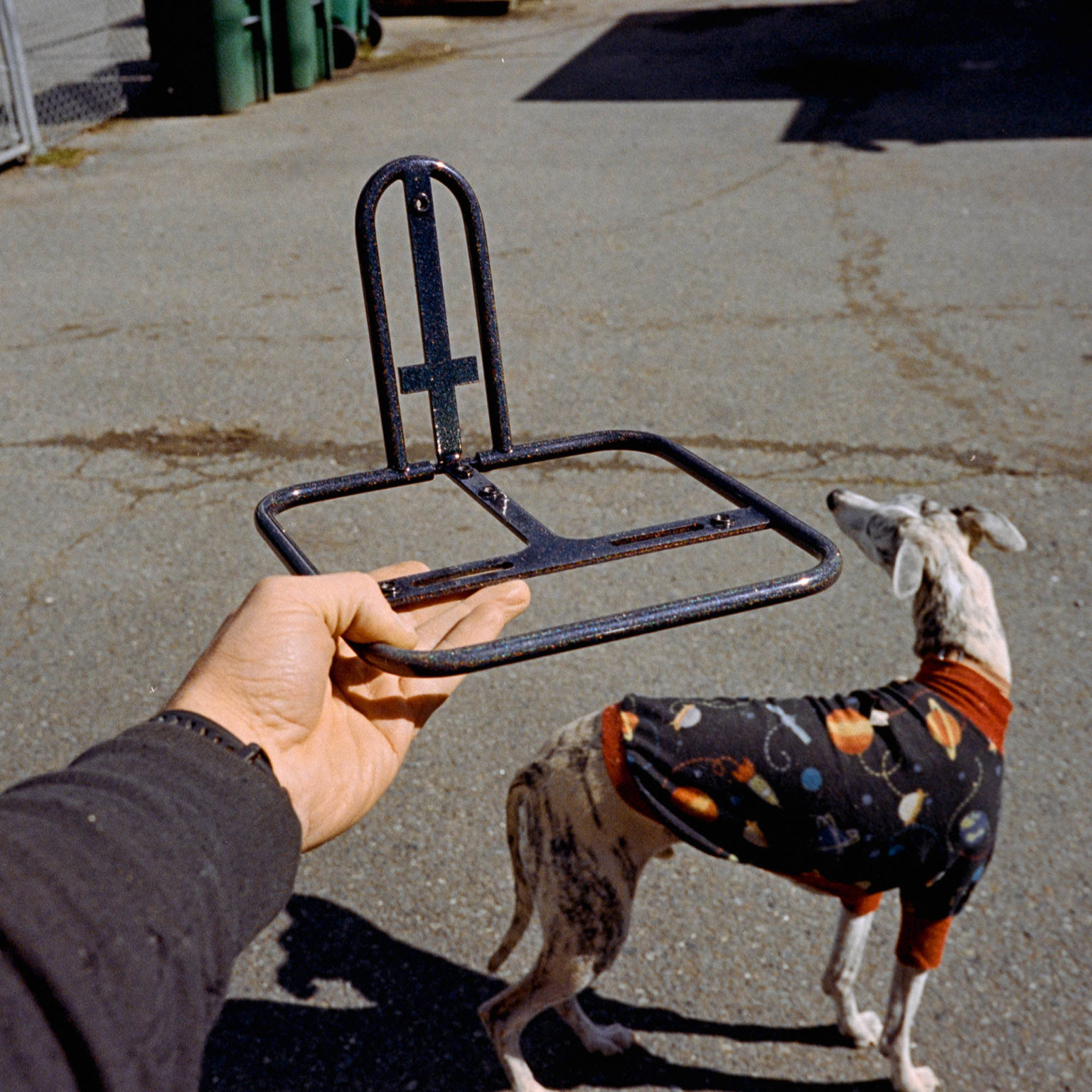 We're Loving the New RatKing RIP Rack - BIKEPACKING.com