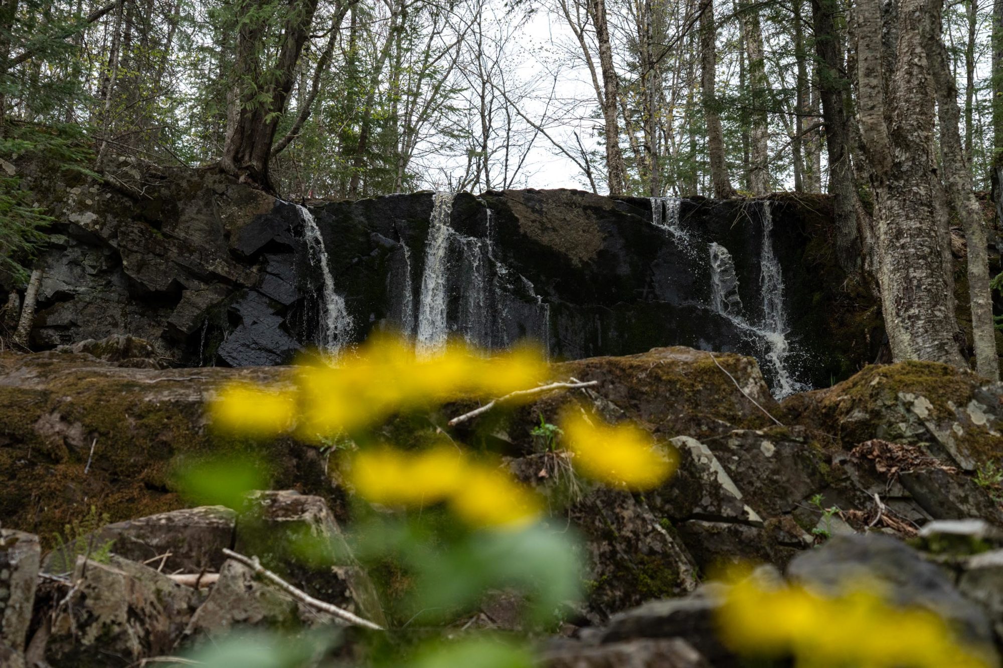 Bikepacking The Wisconsin Waterfalls Loop (Video) - BIKEPACKING.com