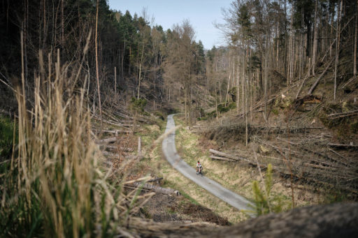 Creative Confluence: Trusting the Path with Tina Graf - BIKEPACKING.com