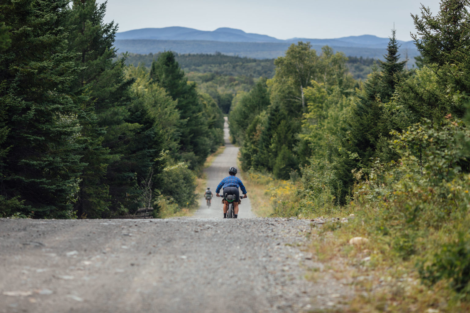 Eastern Divide Trail (S3): Lupine - BIKEPACKING.com