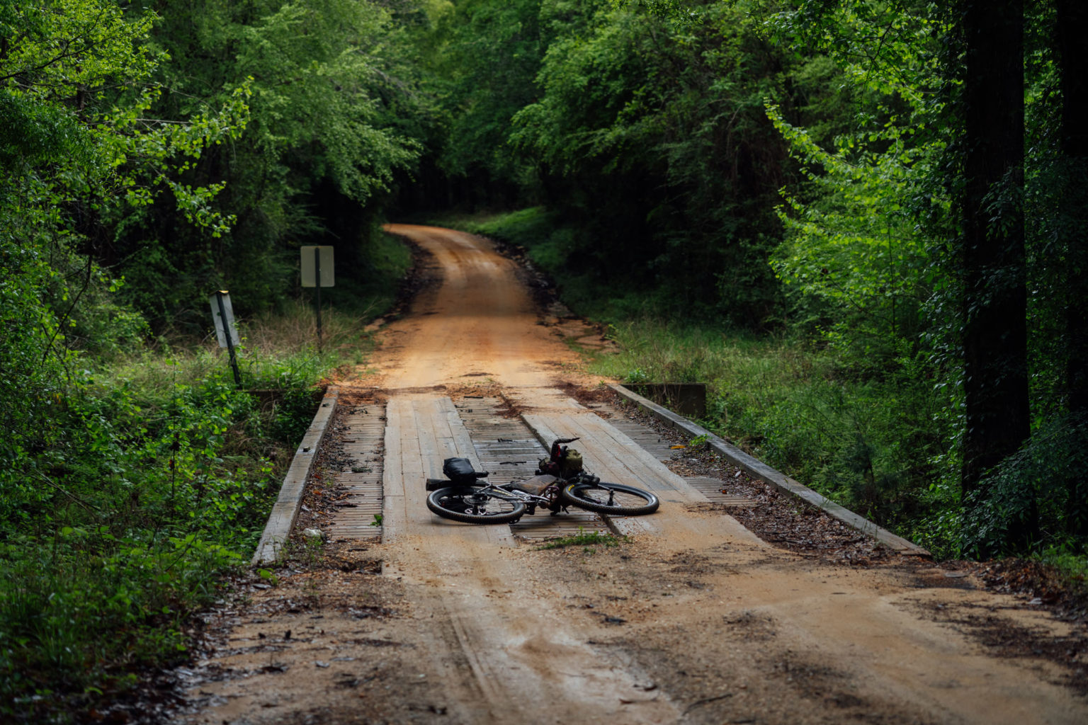 Eastern Divide Trail (S7): Longleaf - BIKEPACKING.com