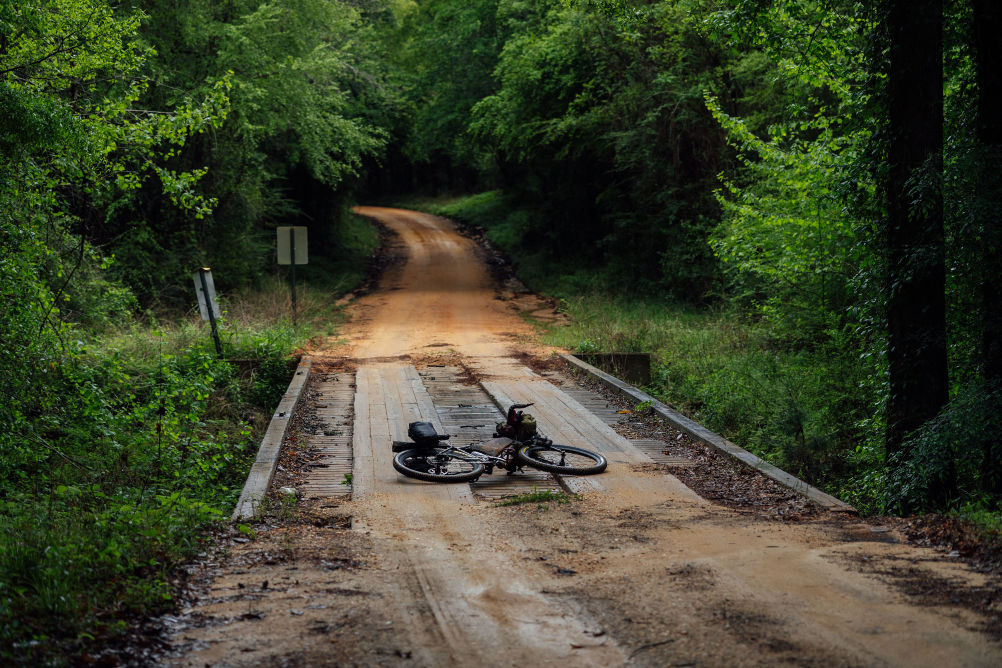 Eastern Divide Trail (S7): Longleaf - BIKEPACKING.com
