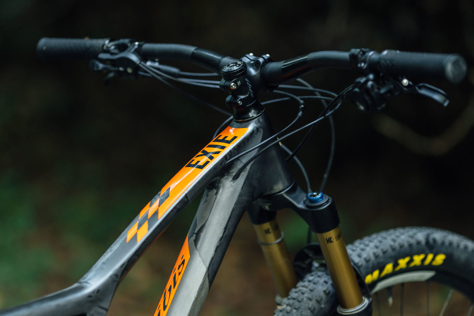 Ibis Exie Review - BIKEPACKING.com