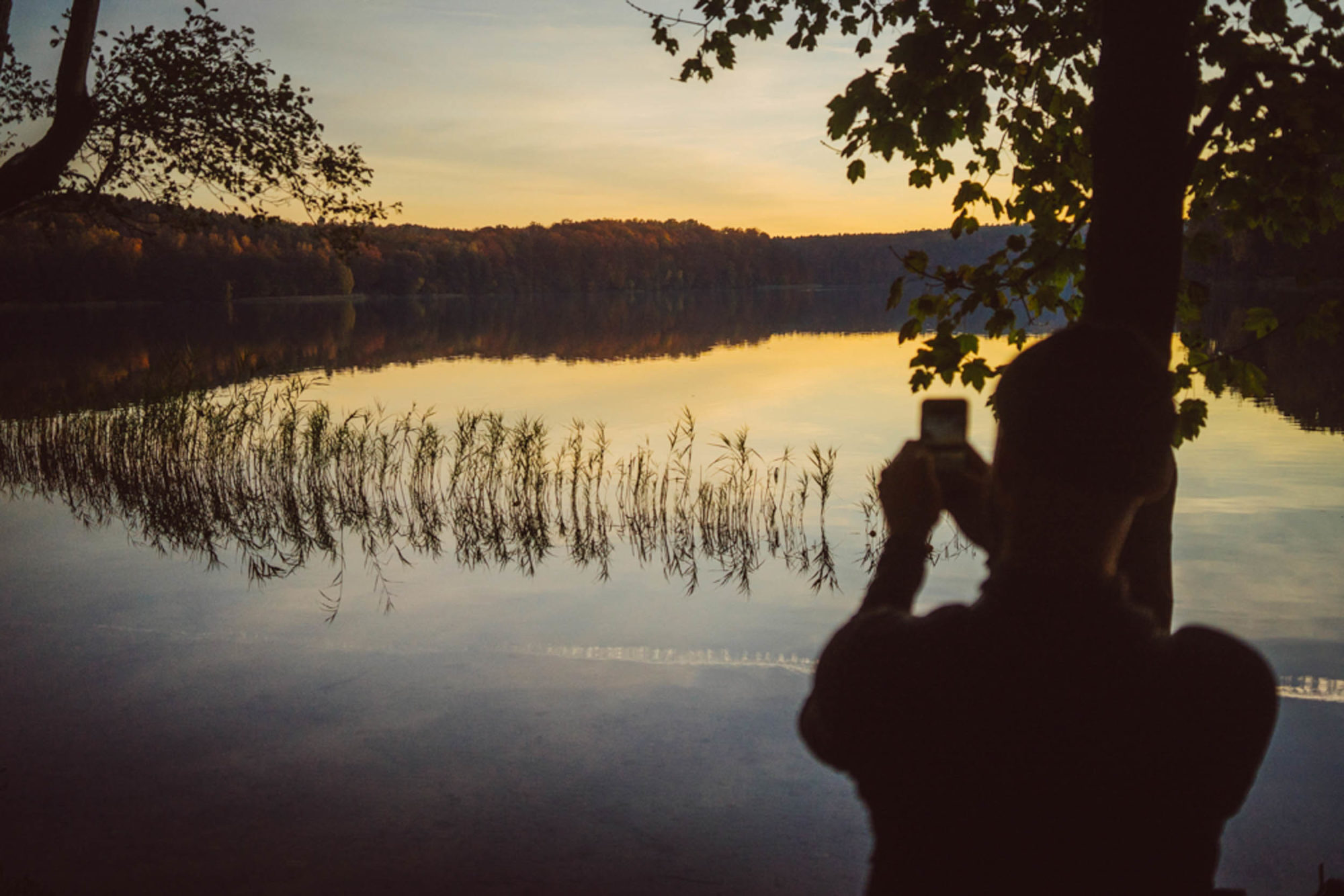Rust of Nature (Video) - BIKEPACKING.com