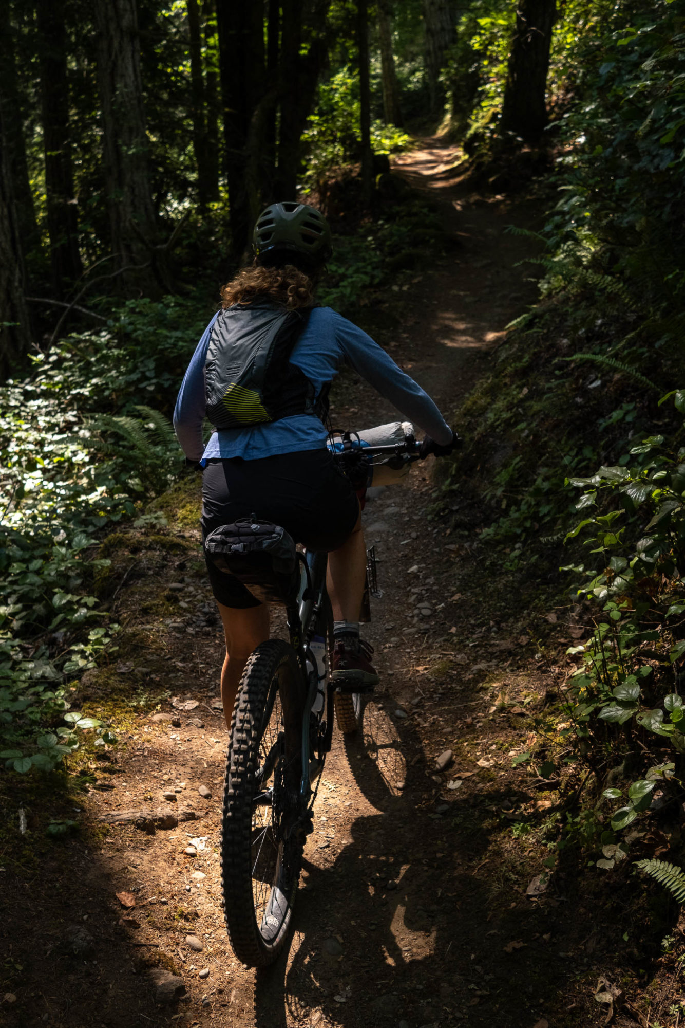 The Olympic Adventure Route: Shaken with a Twist - BIKEPACKING.com